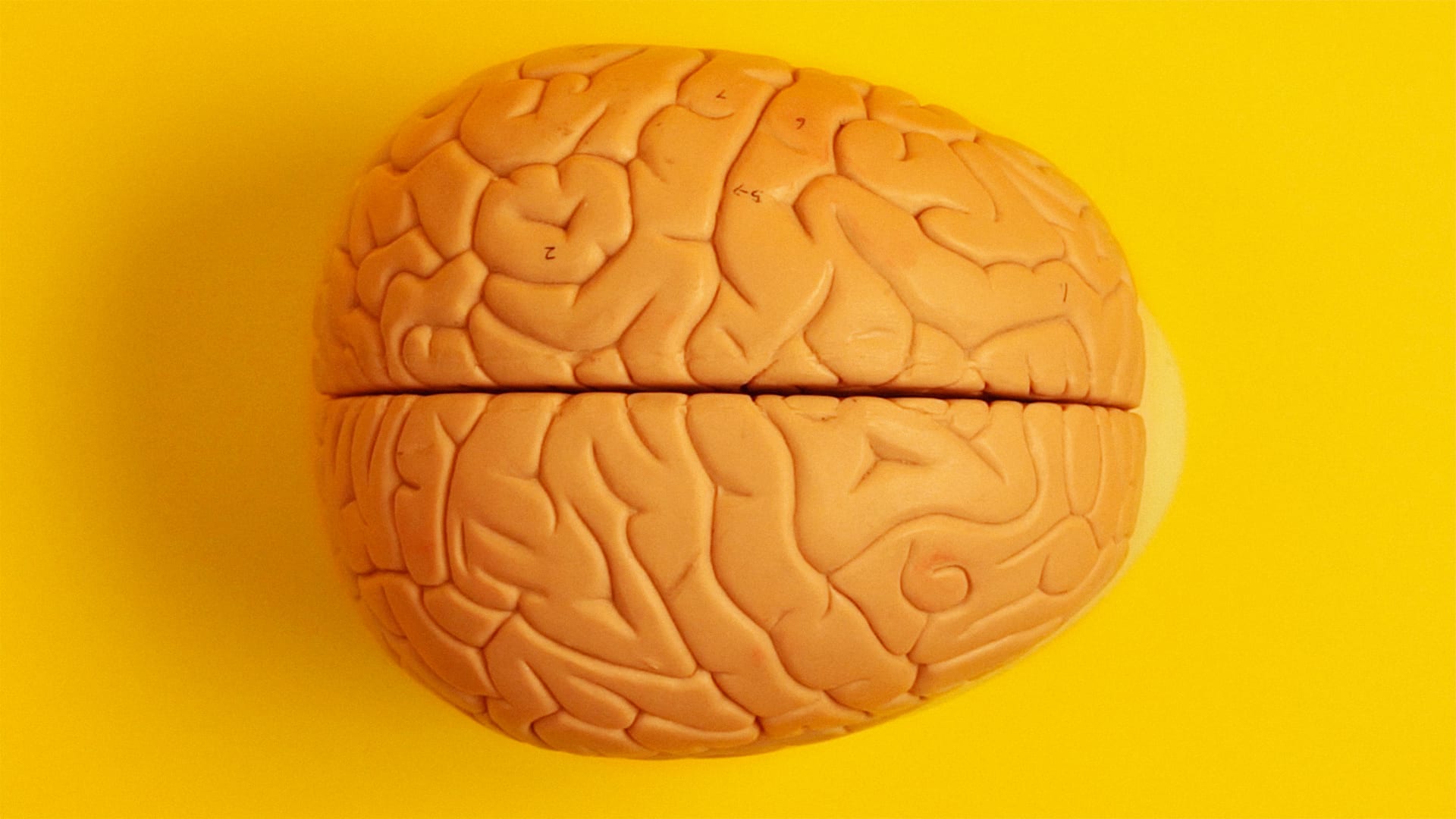 If You've Wondered Where Ideas Come From, This Short Is A Good Start ...