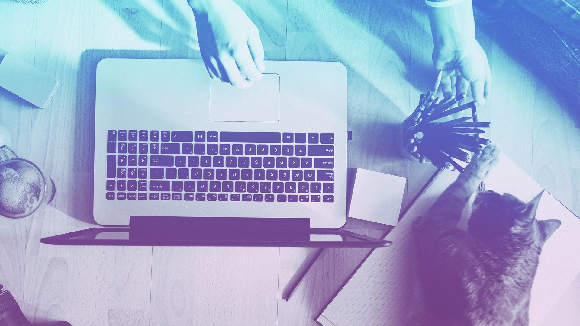 This Cover Letter Checklist Can Help You Show Off Your Personality ...