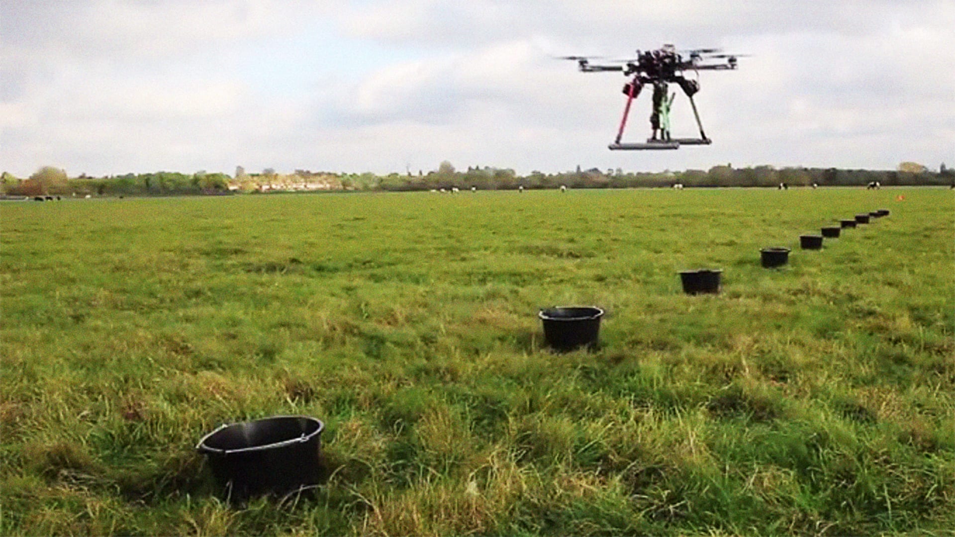 These Tree-Planting Drones Are About To Start An Entire Forest From The ...