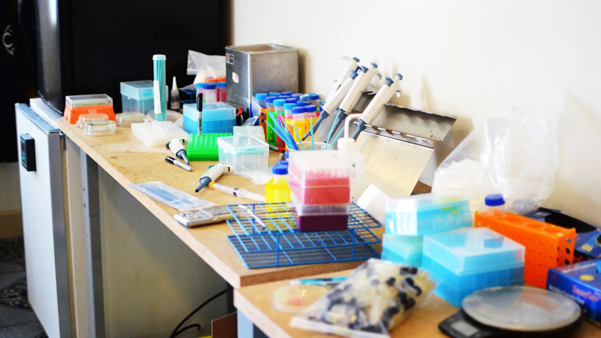 Modifying Your Own Genes Is Just An Injection Away-If You're Feeling ...