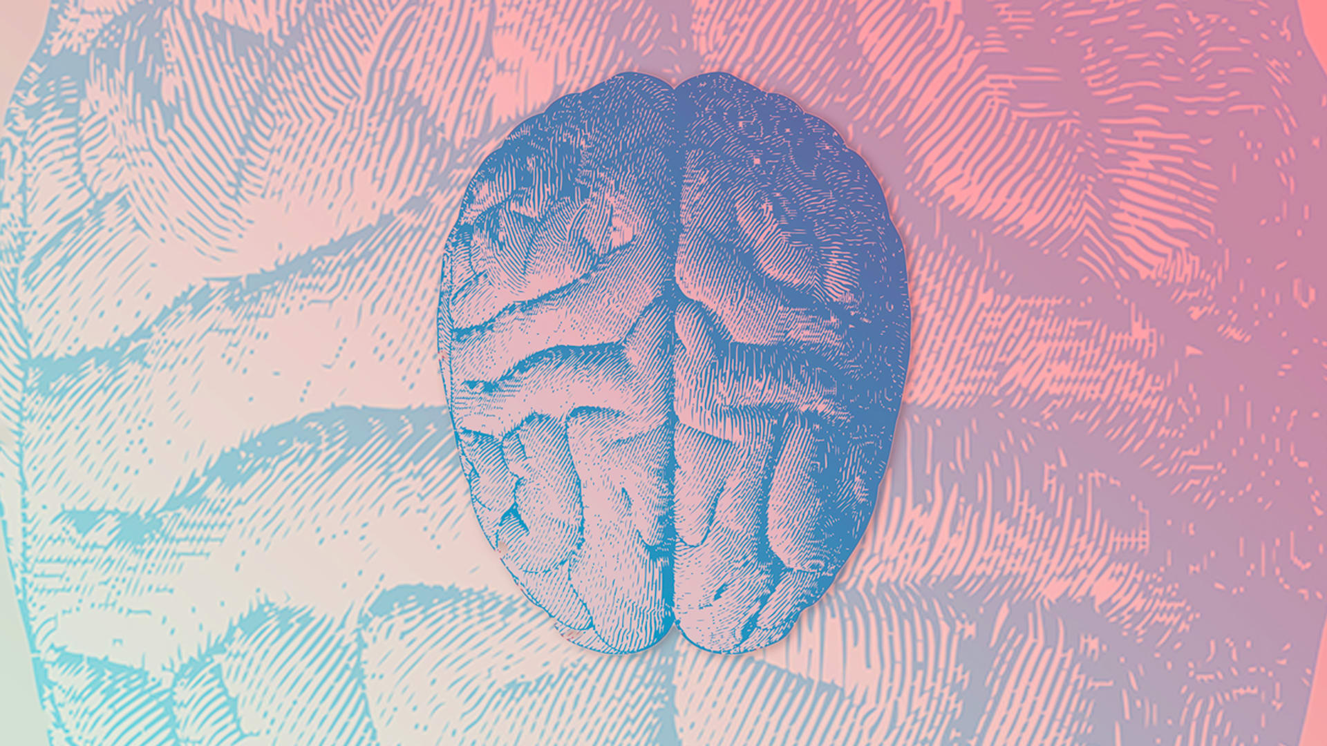 4 Ways To Train Your Brain To Be More Open-Minded - Fast Company