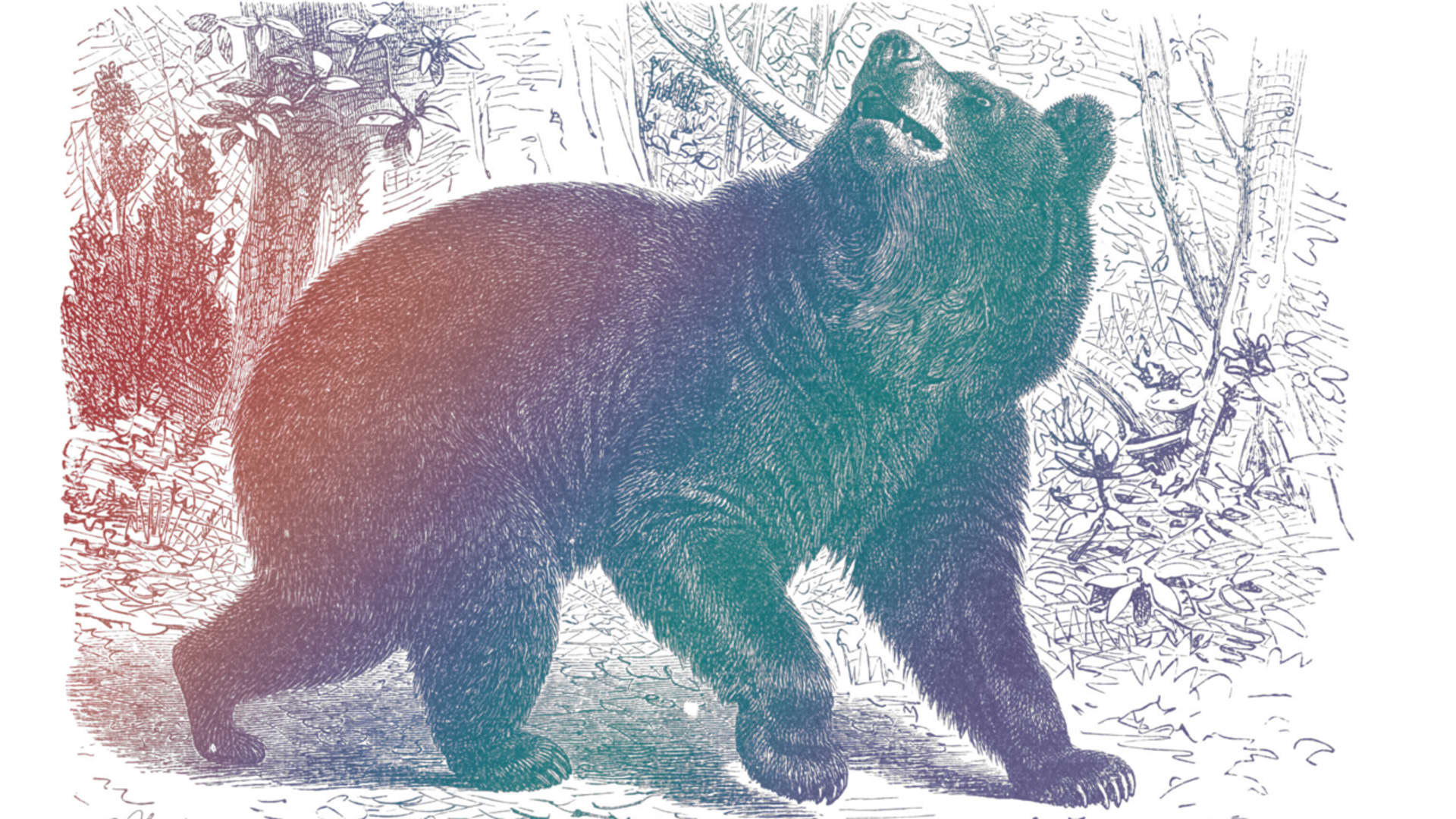 Positive Self-Esteem Is Overrated, Here's What You Need Instead - Fast ...