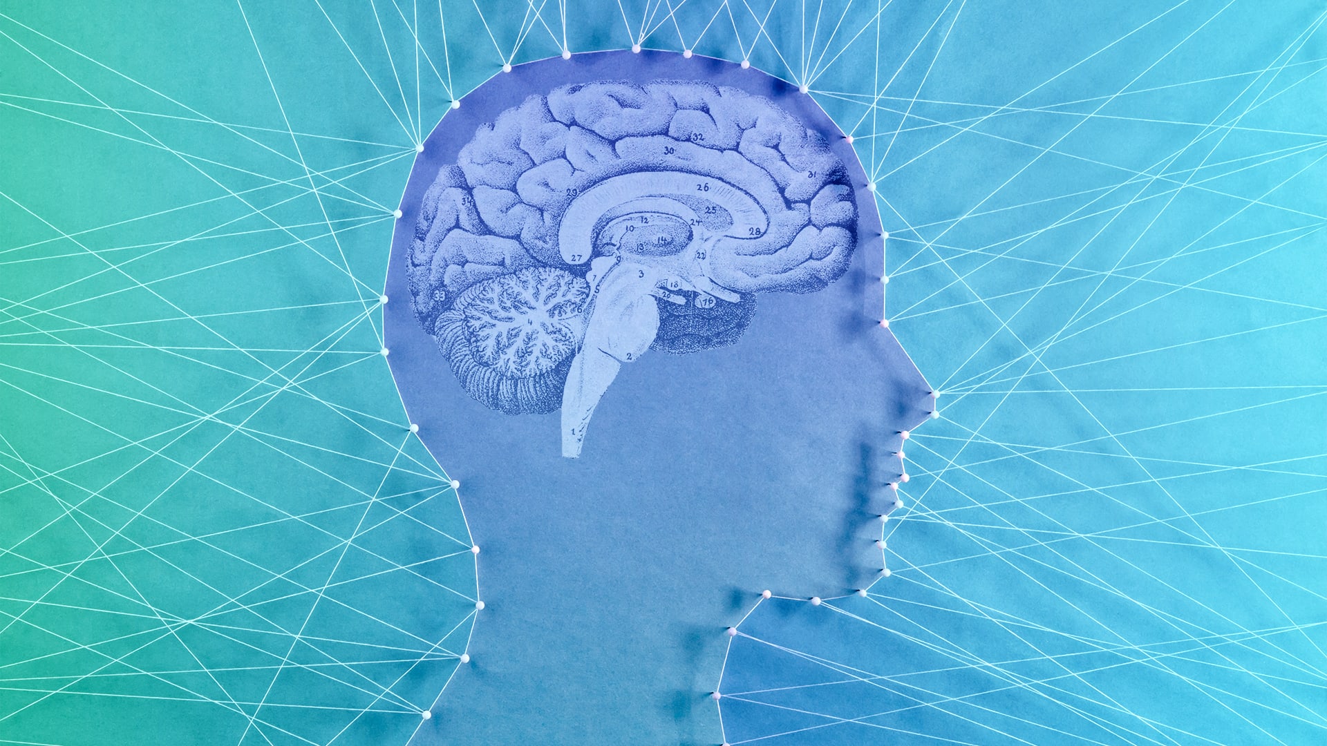 Why Your Brain Clings To False Beliefs (Even When It Knows Better ...