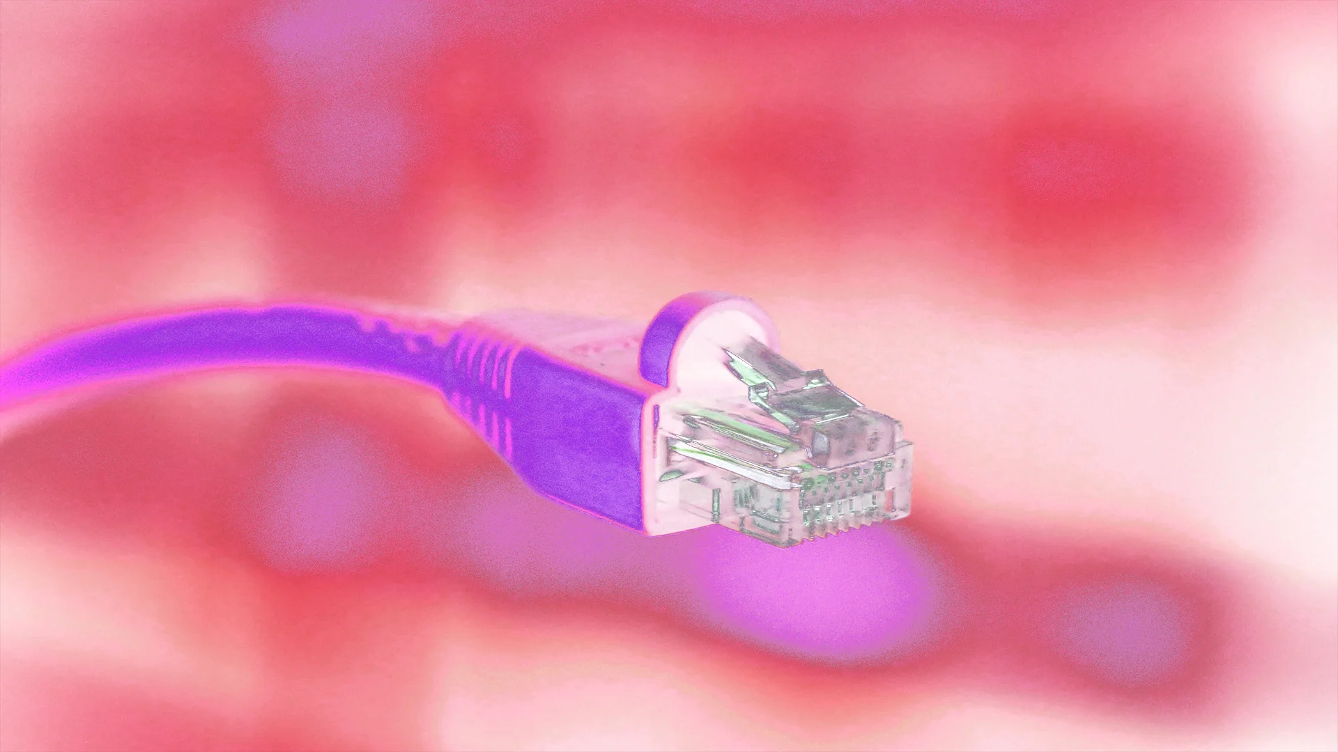 Here's How To Plug One Of The Biggest Privacy Holes In The Internet ...