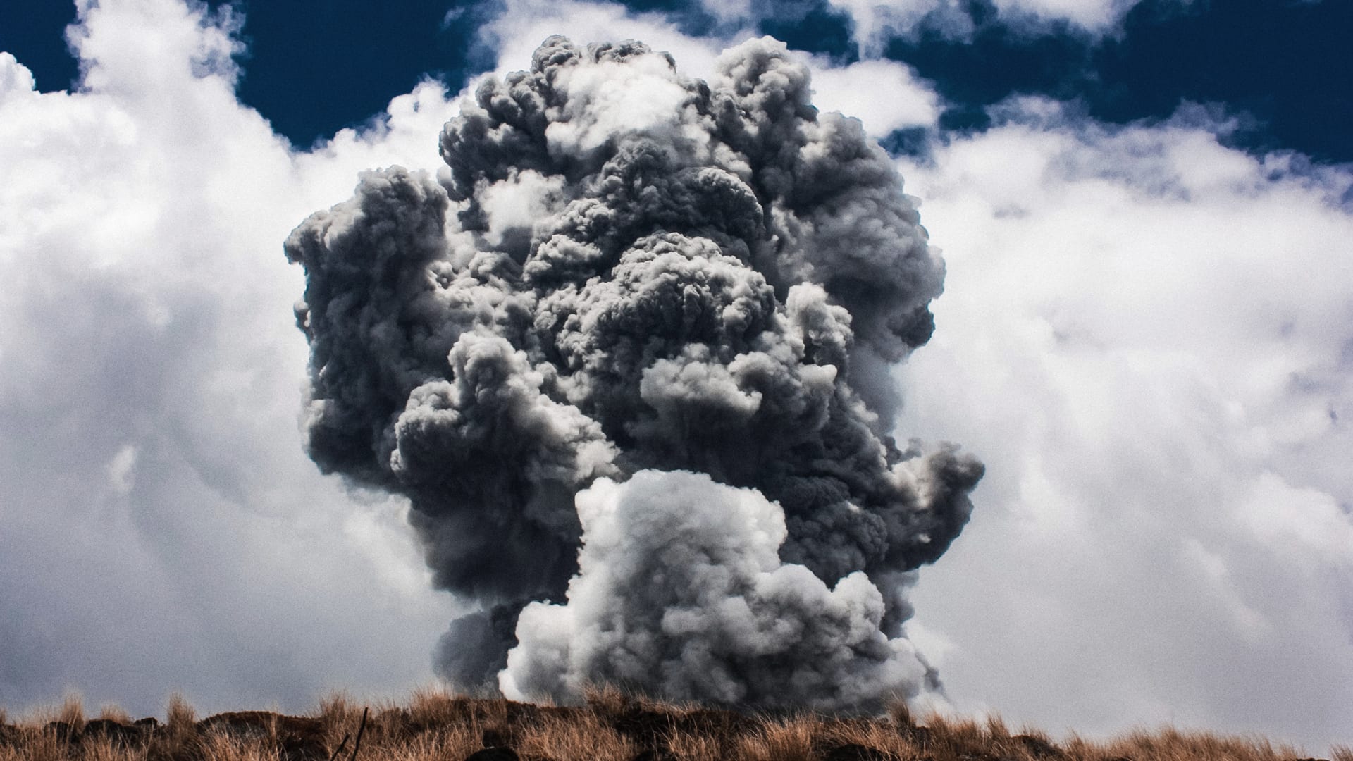 These Are The Reasons Why Your Whole Team Is Burning Out - Fast Company