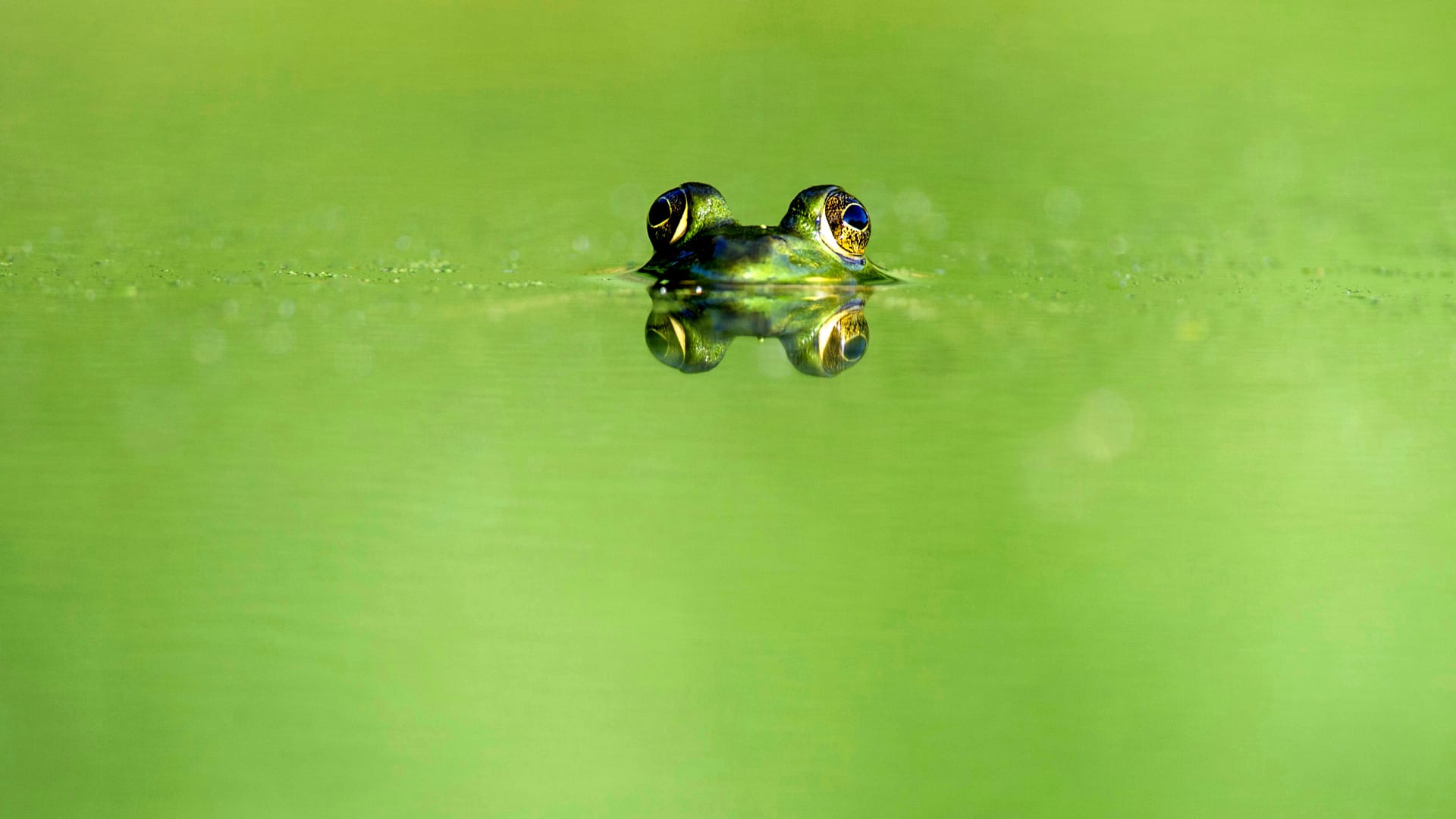 This well-known productivity advice is actually pretty bad - Fast Company