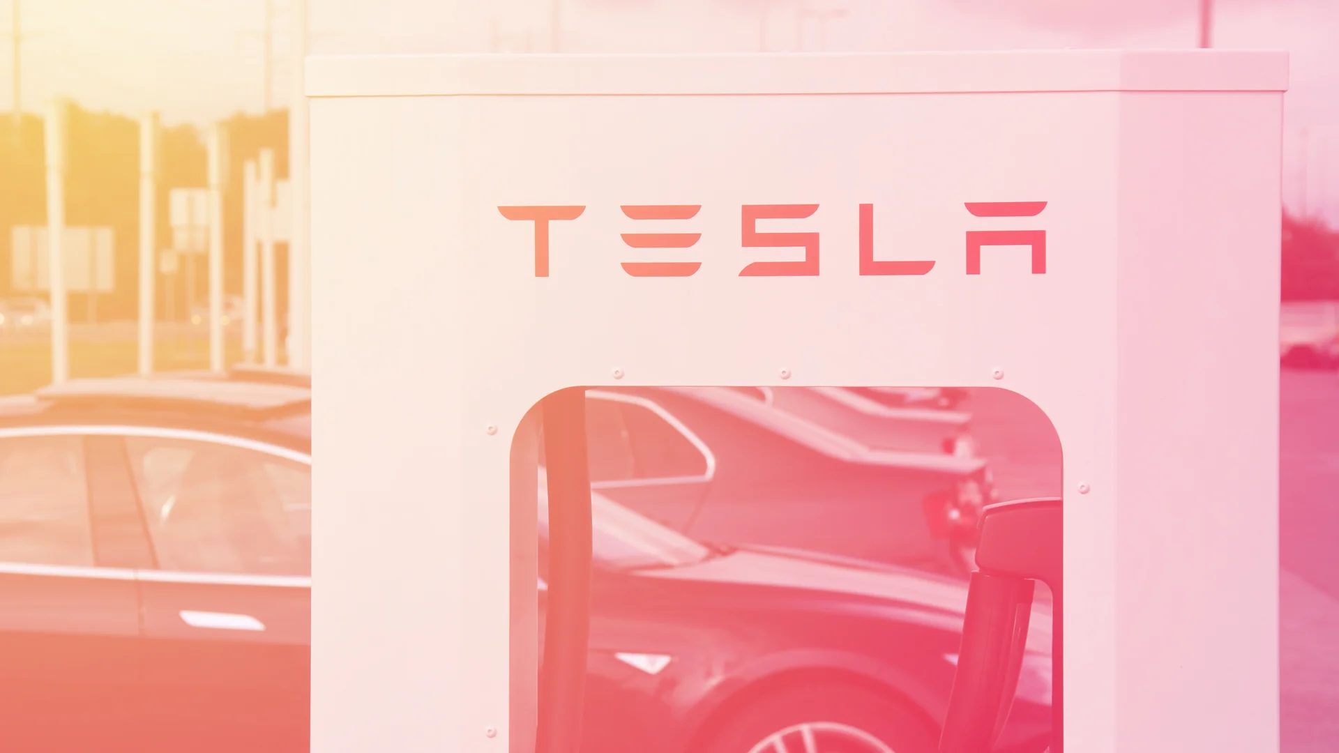 Read Elon Musk's email alleging there is a saboteur at Tesla - Fast Company