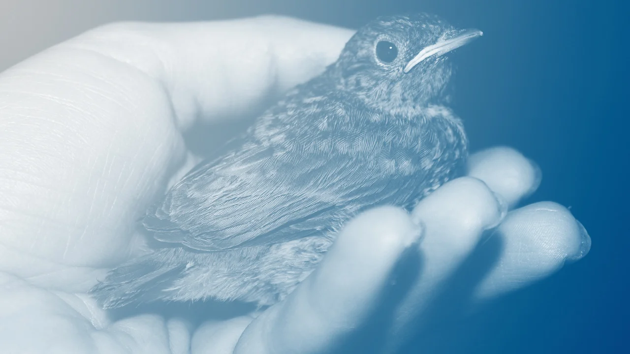 Twitter wants to know why Twitter is so toxic - Fast Company