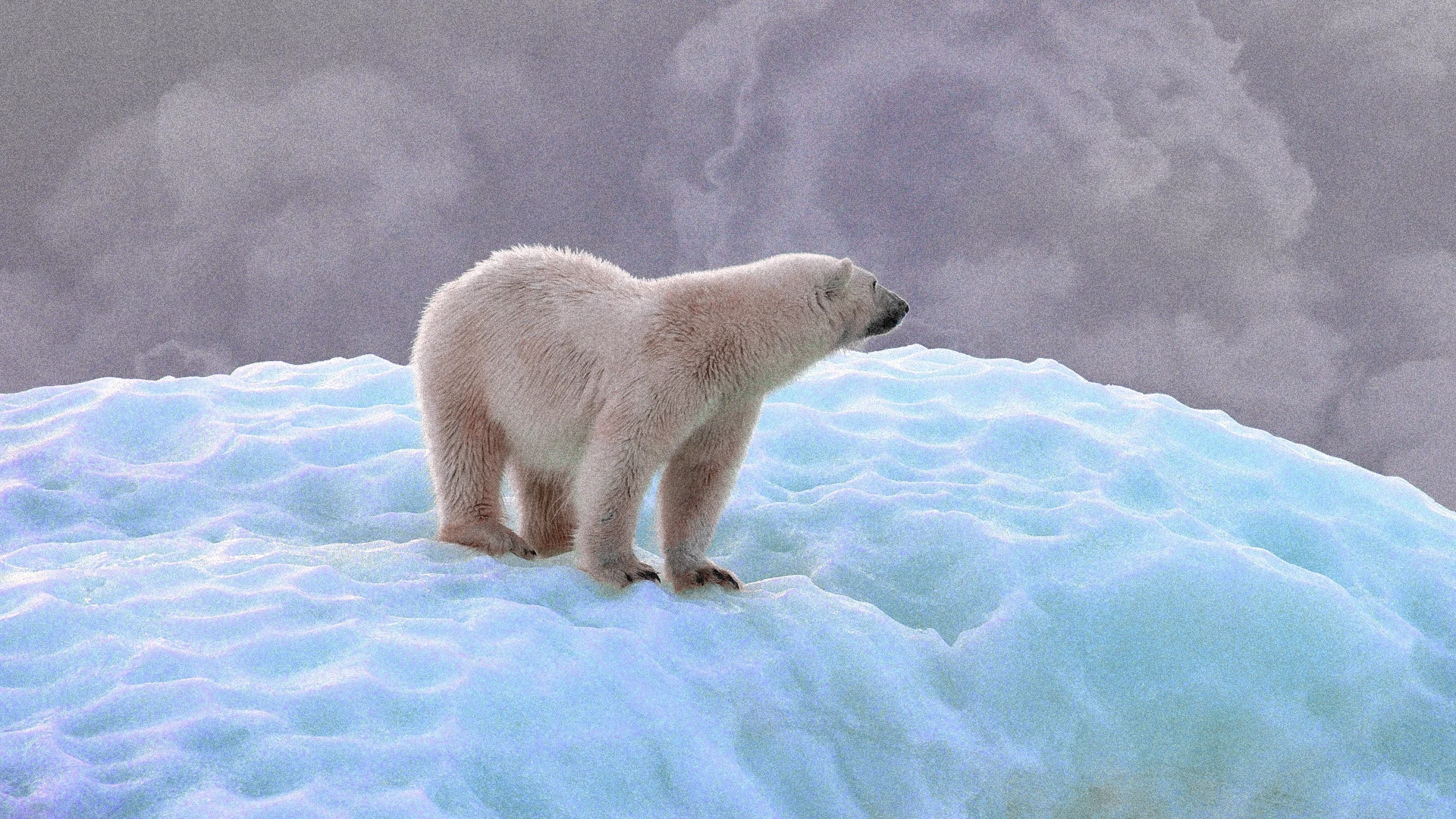 Here's a good holiday gift for anyone despairing about climate change ...