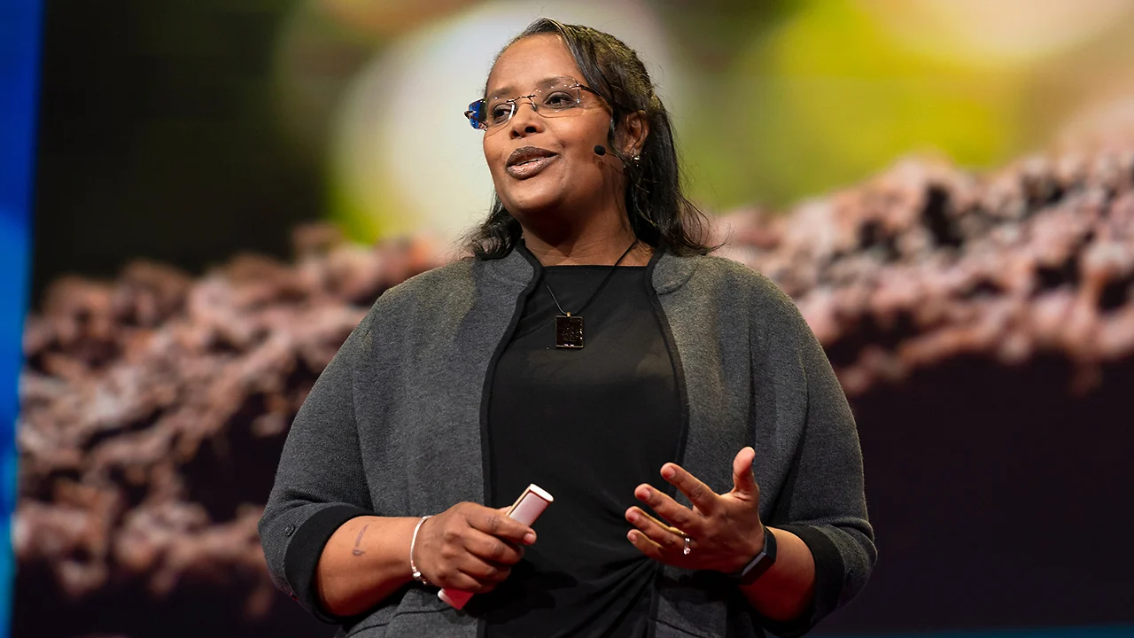 To fix the climate, we have to fix our soil - Fast Company