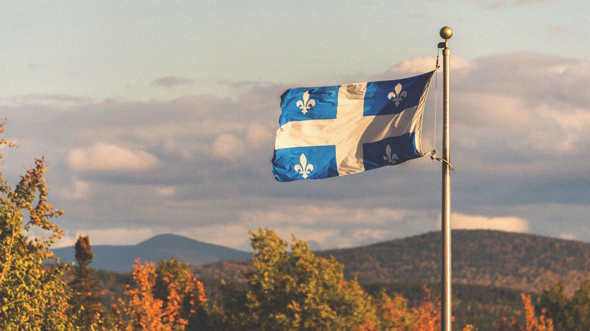 My BA in French made me the tech CEO I am today - Fast Company