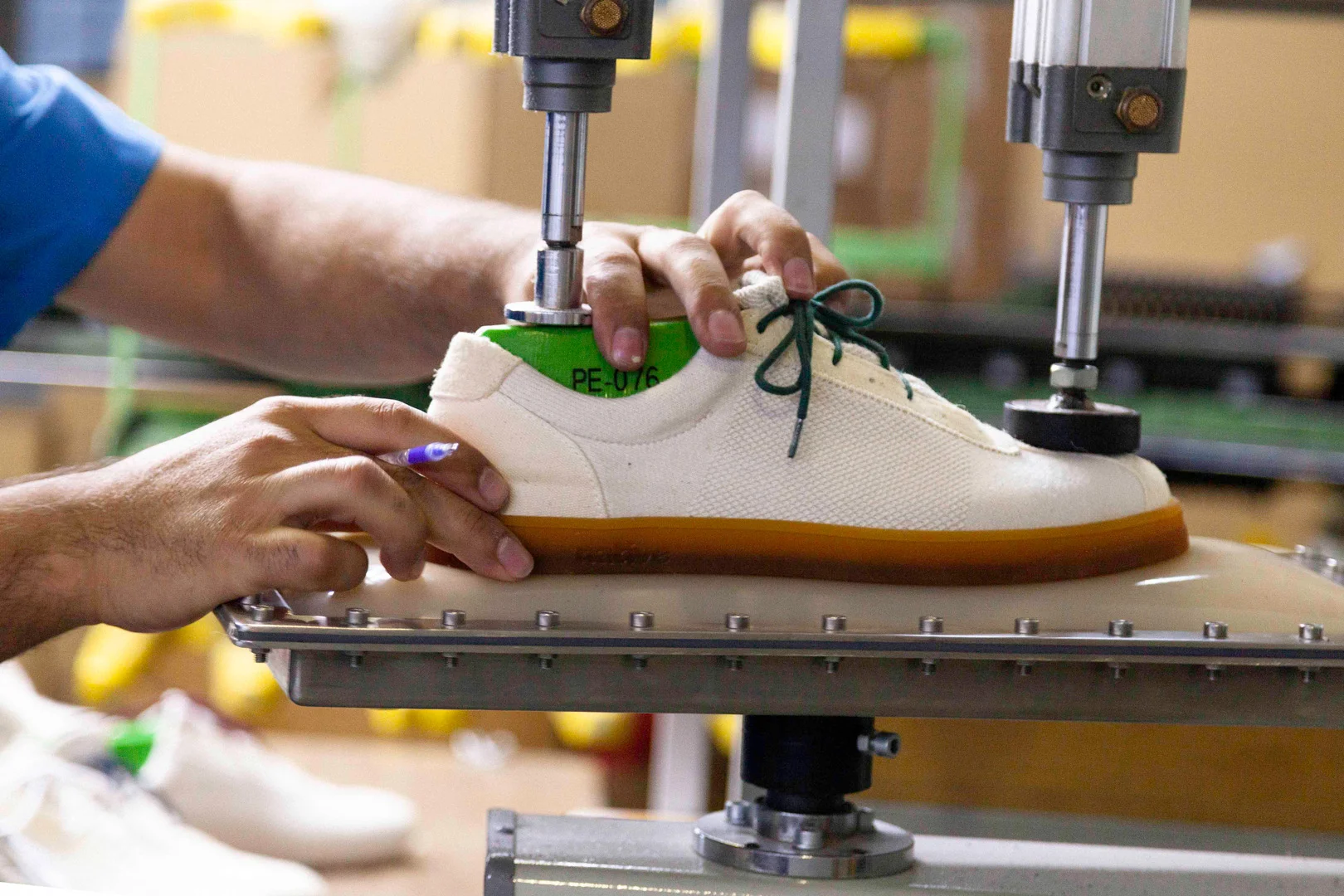Every single piece of these sneakers is made from plants - Fast Company