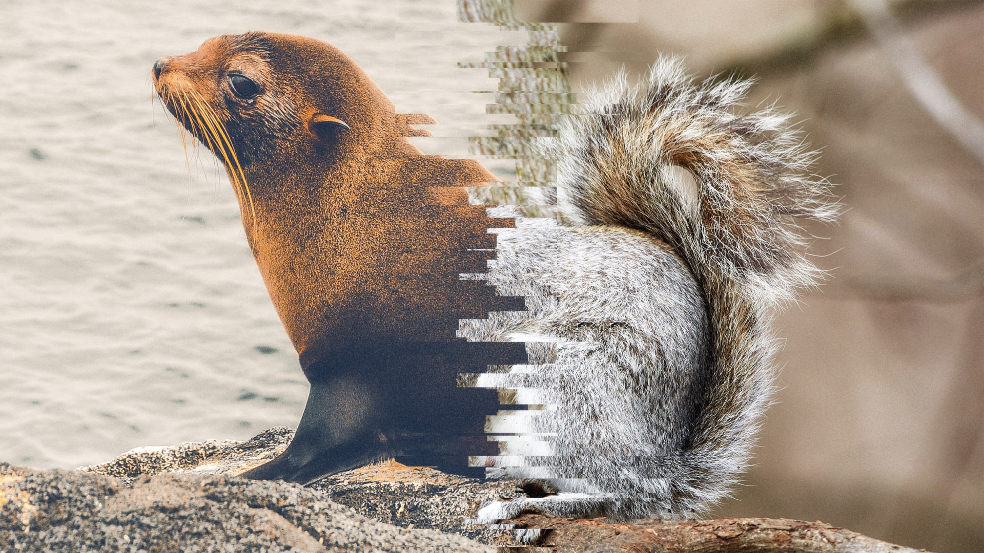 The world's most-advanced AI can't tell what's in these photos. Can you ...