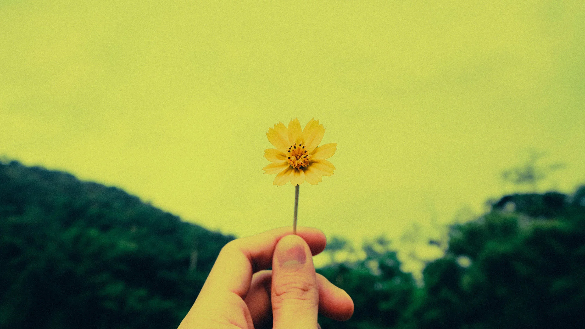 The 3 ways that happy people deal with problems - Fast Company