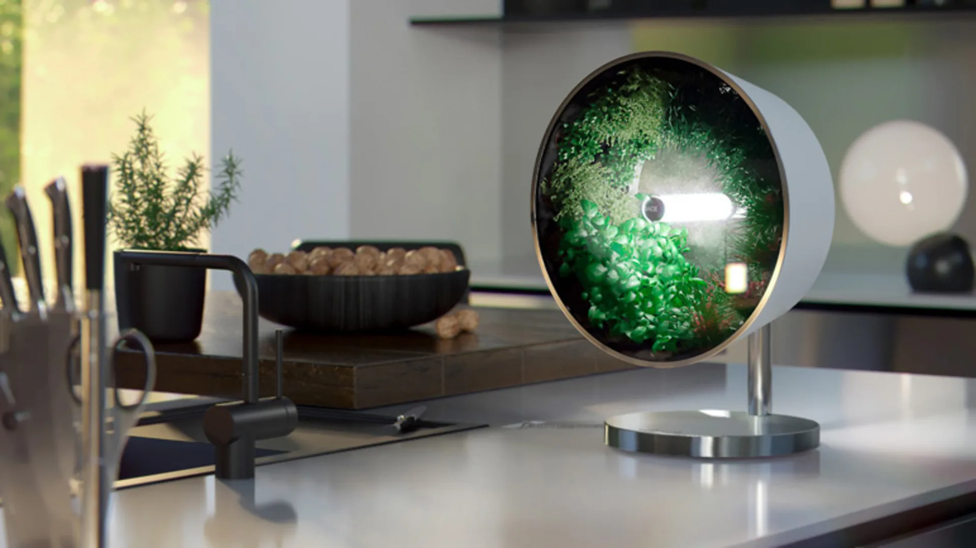 This brilliant hydroponic system puts a whole garden on your countertop ...