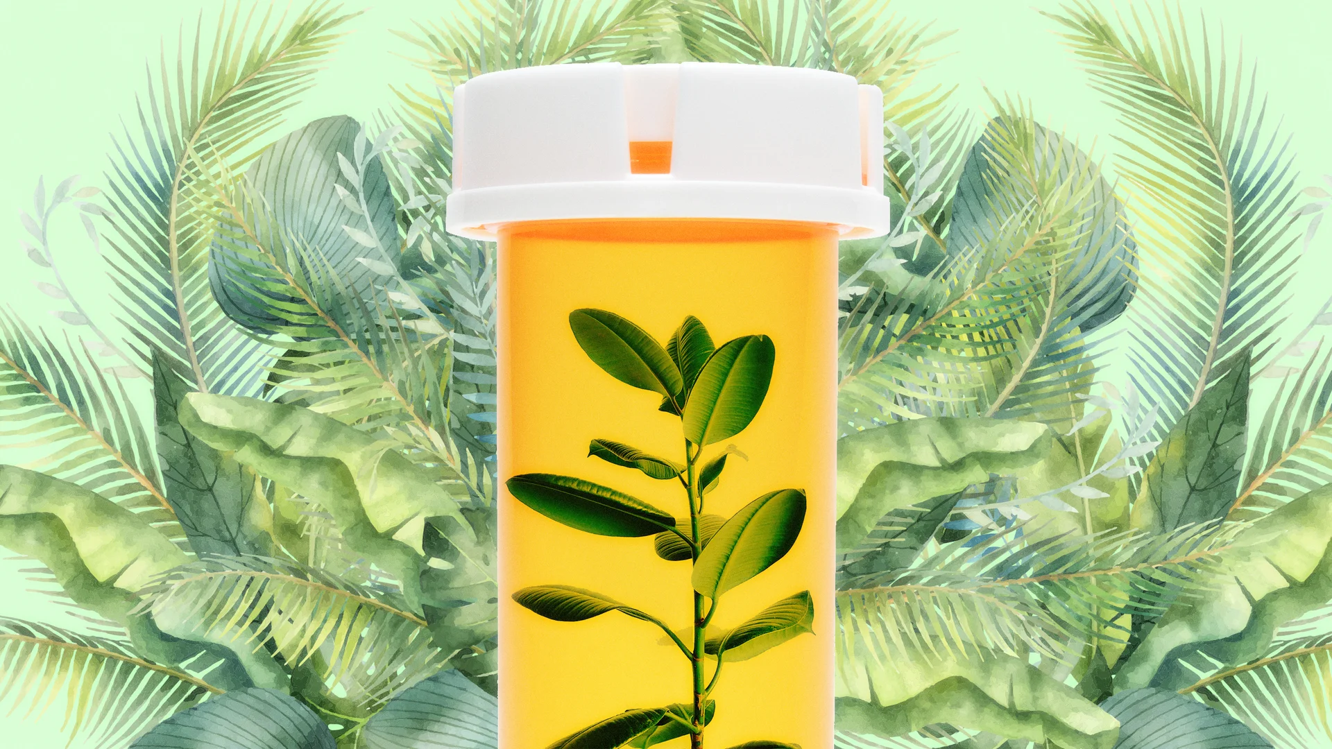Plants That Help Depression