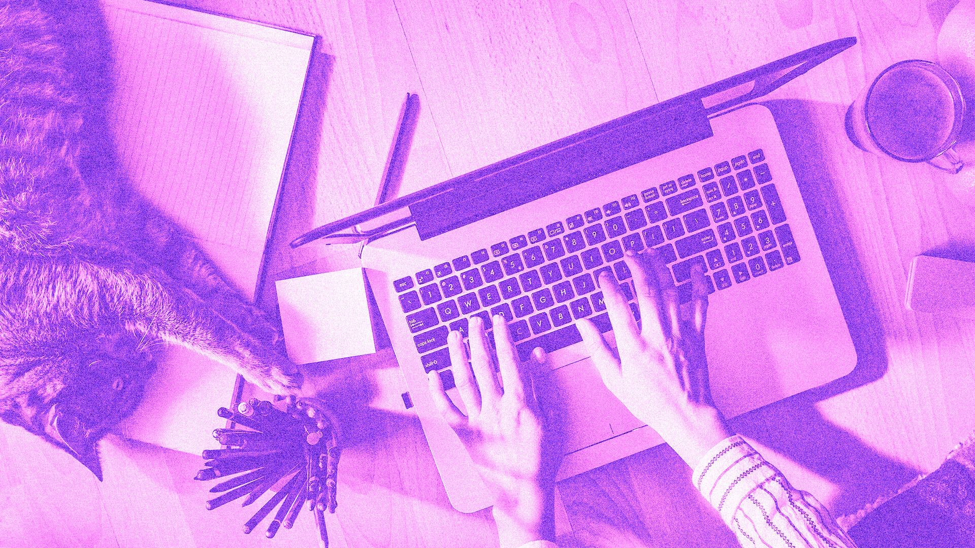 How to design a productive routine when you work remotely - Fast Company