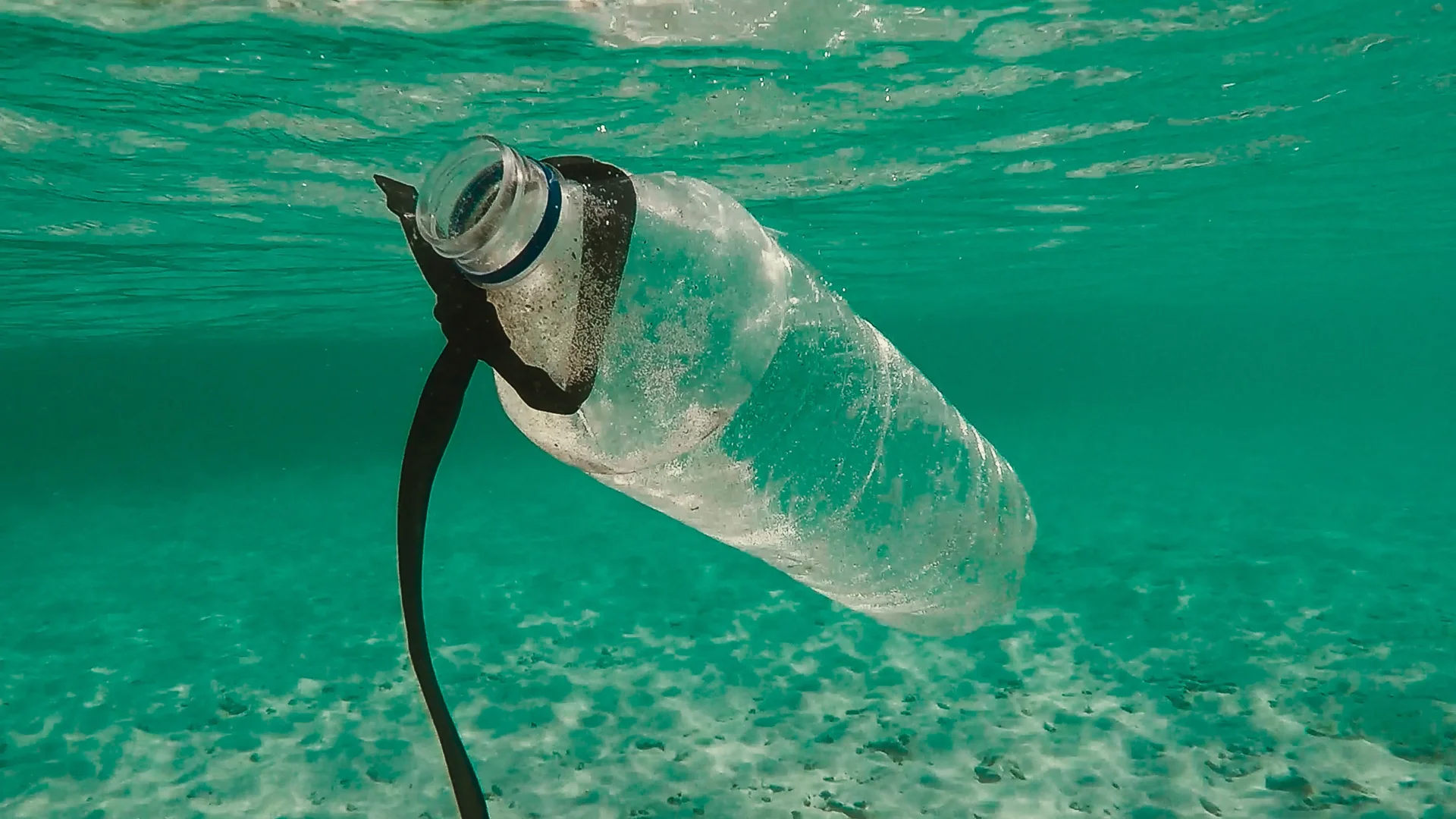 Plastic-addicted Nestlé plans for a new world of sustainable packaging ...