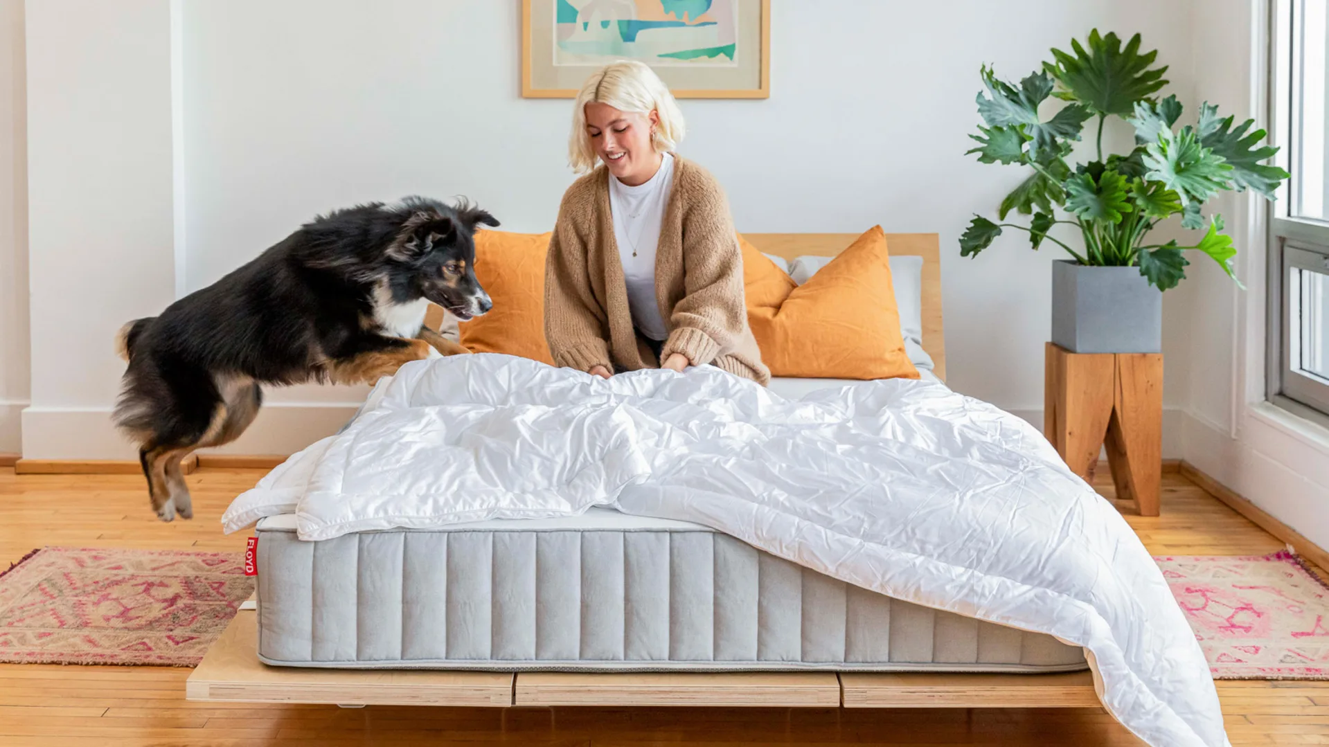 minimalist bed frame