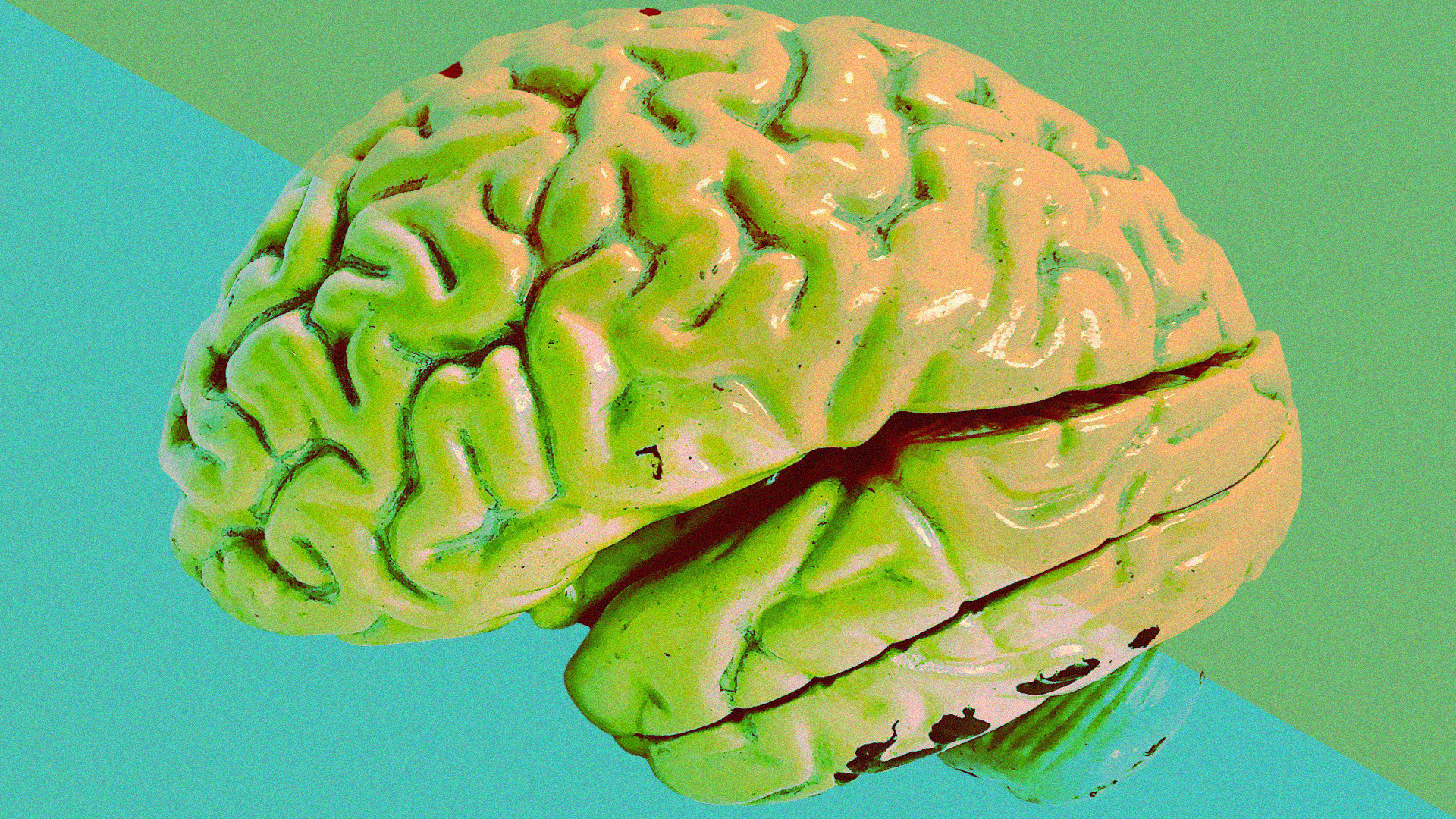 Forget what you think you know about the differences between male and ...