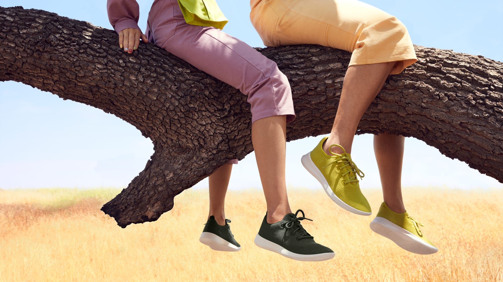 Exclusive: Allbirds is charting a climate-positive roadmap that other ...
