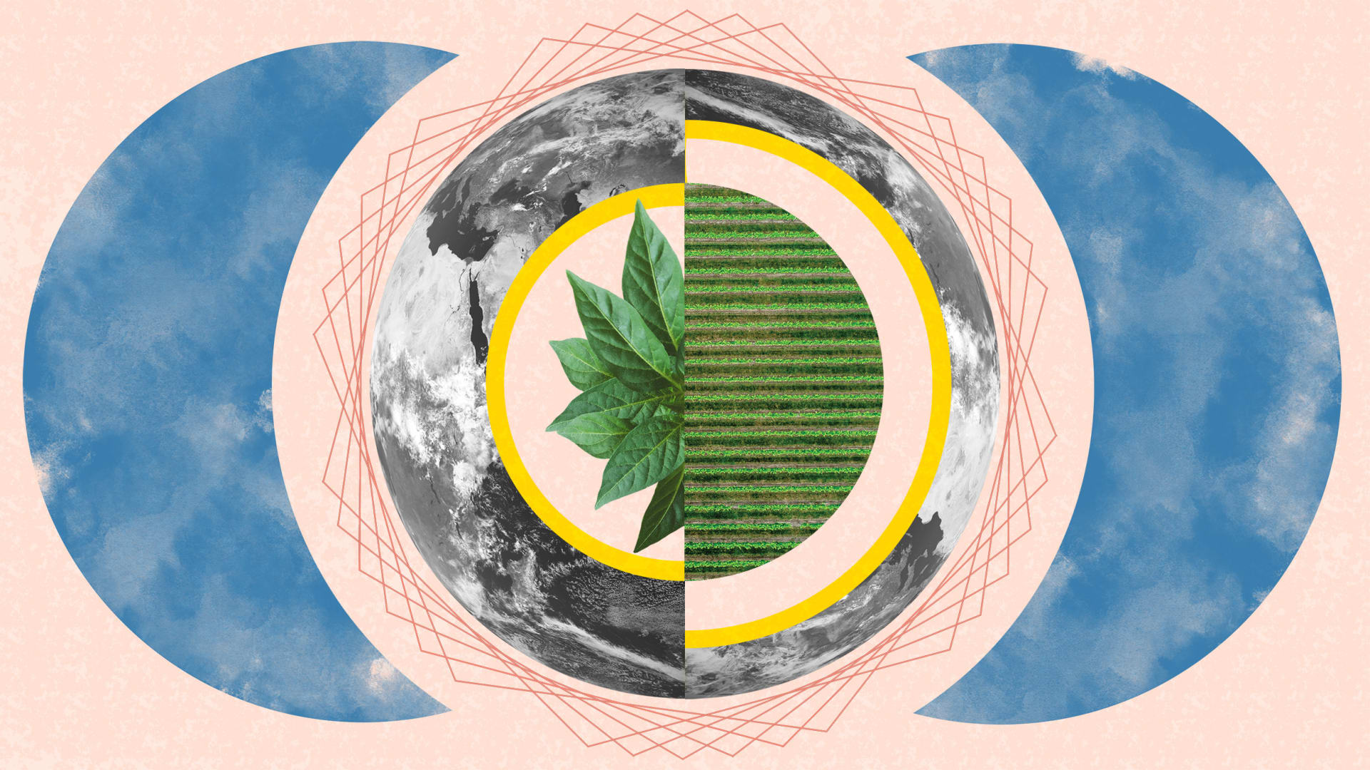 indigo - Fast Company