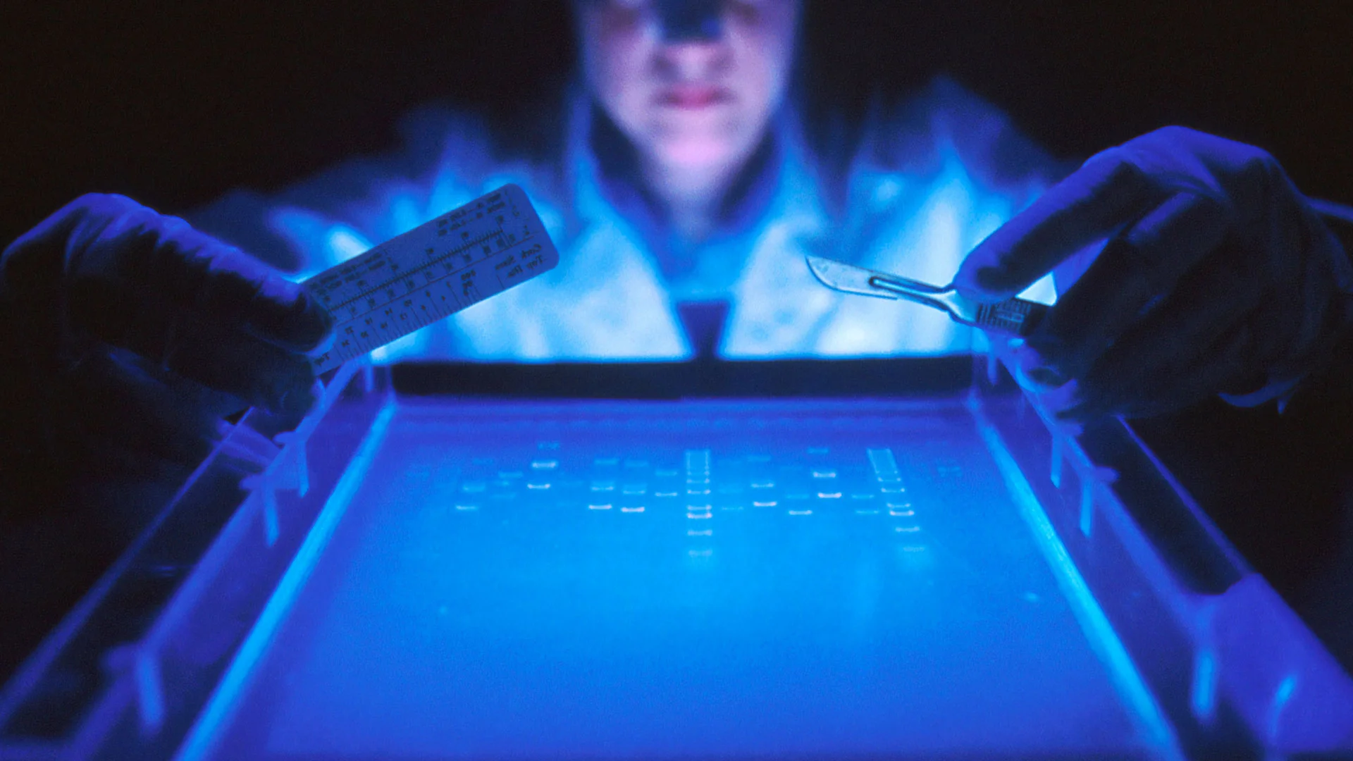 How genetic info is changing the way that police operate—and how we all ...