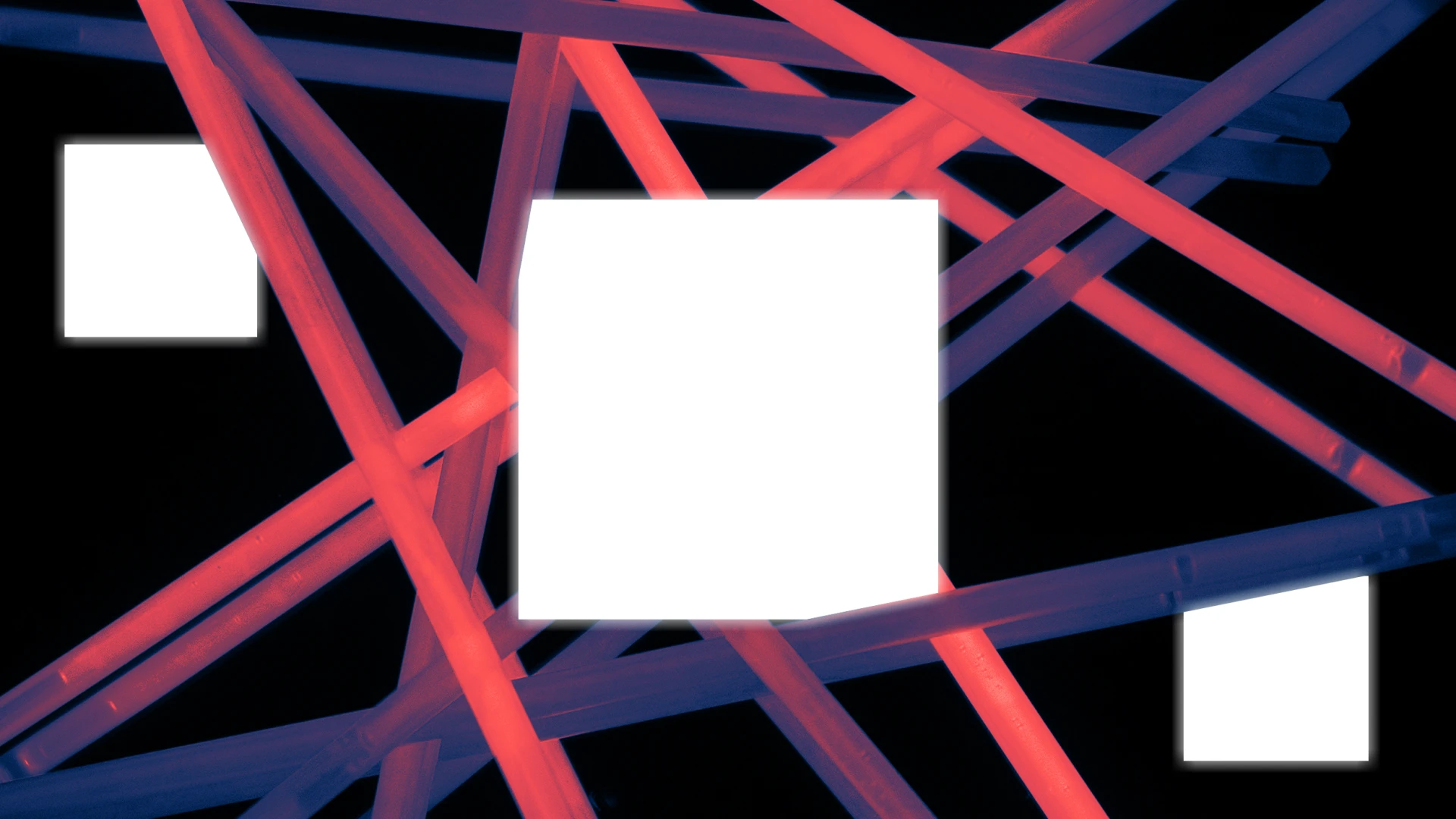 The controversy over how the Minnesota Freedom Fund is spending its ...