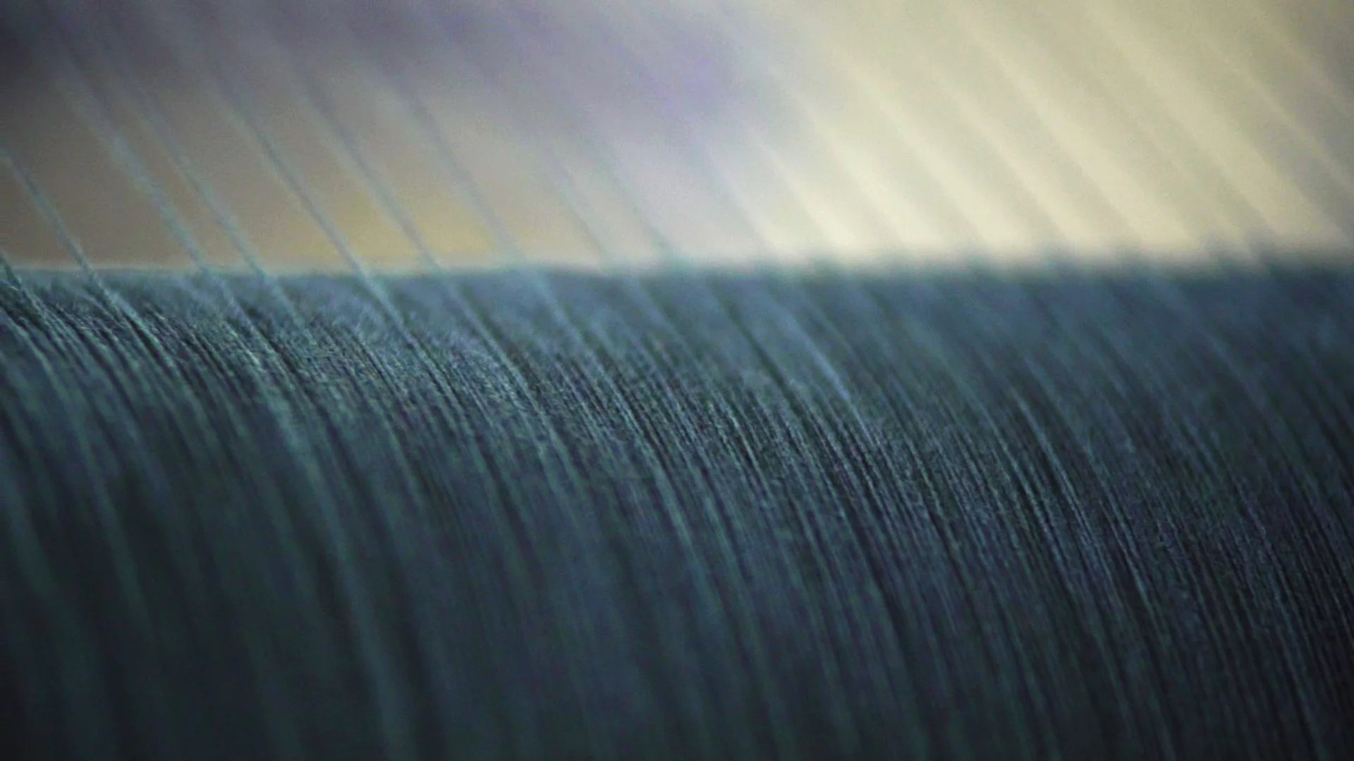 This Melinda Gates-backed biotech startup is growing bacteria that make ...