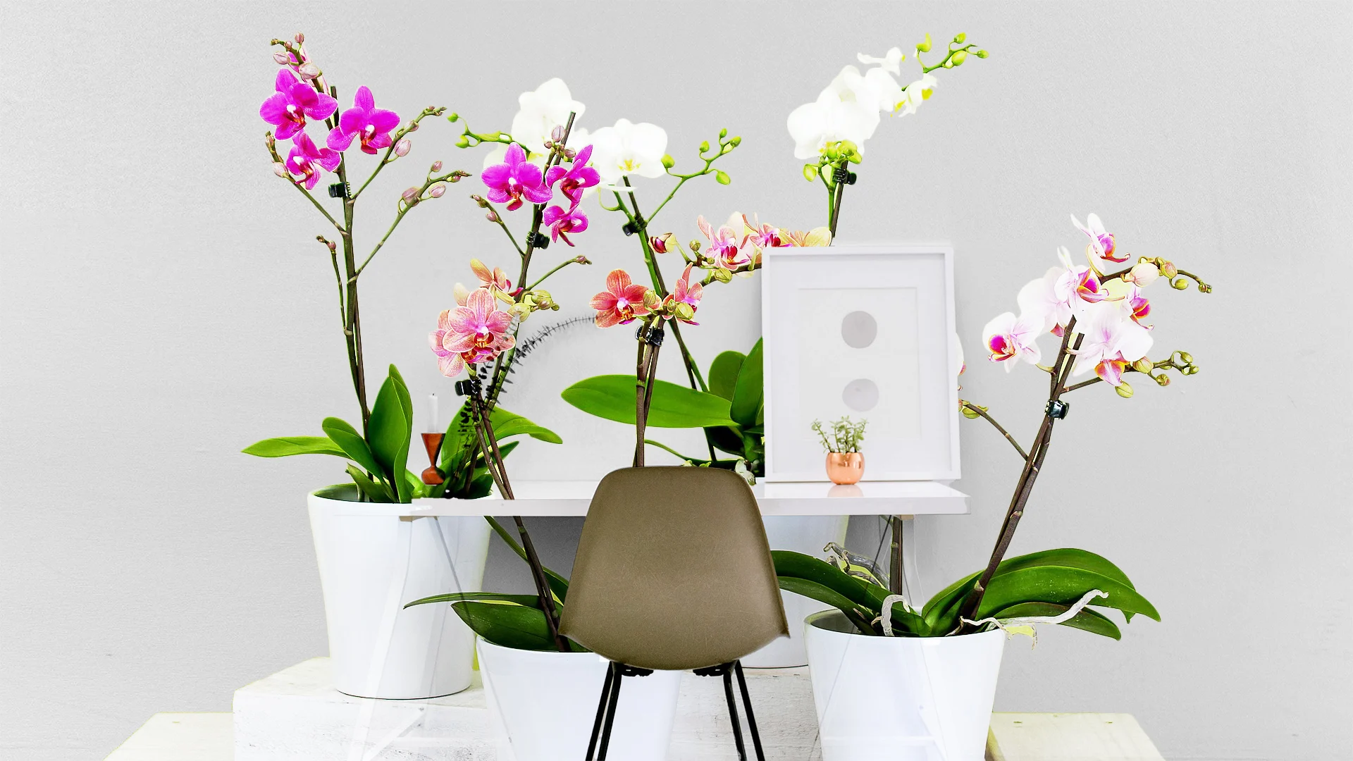 How to optimize your work-from-home set-up for a remote summer - Fast ...