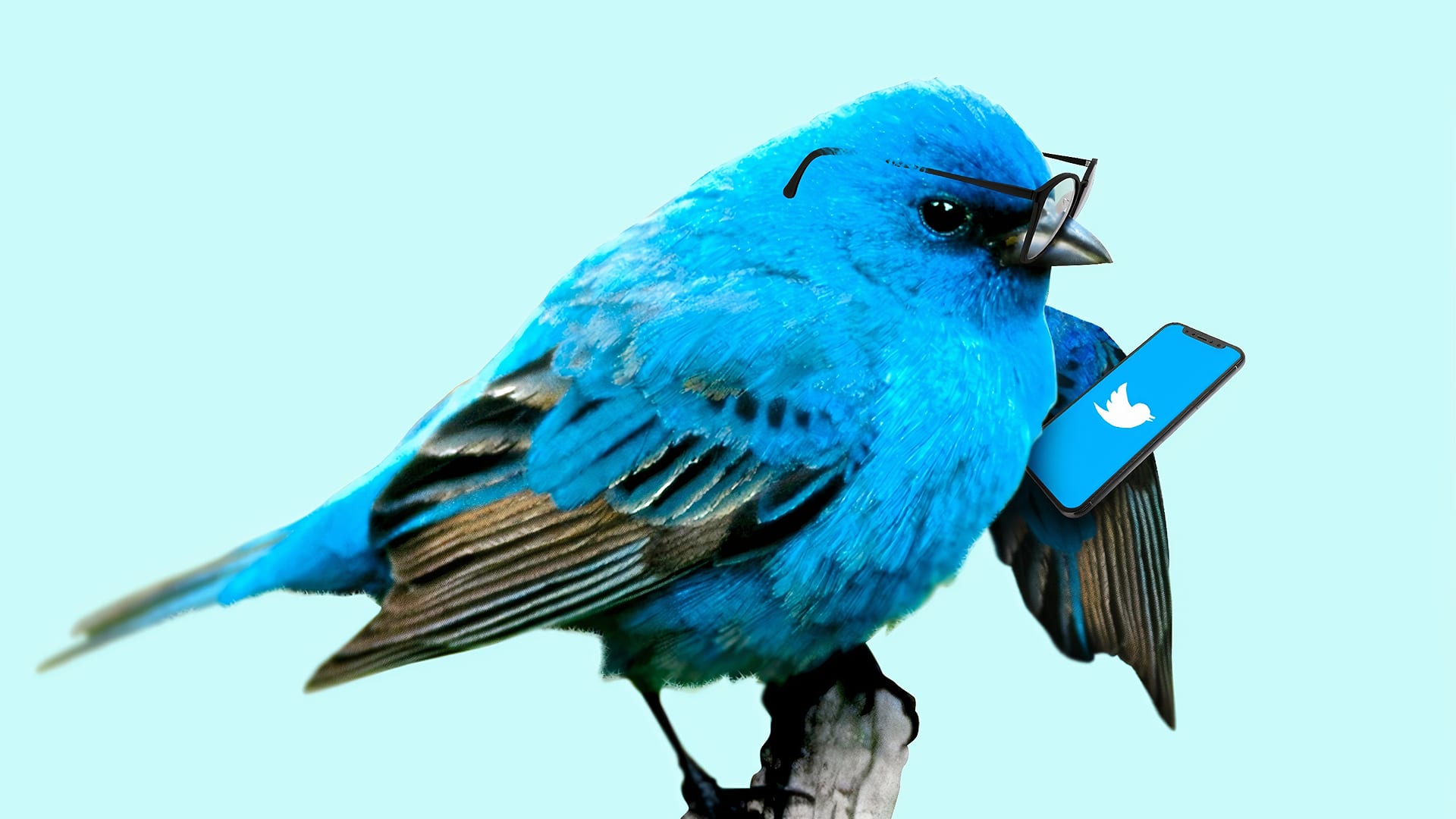 Twitter Q2 2020 earnings: Revenue falls 19% YOY, but daily active users ...