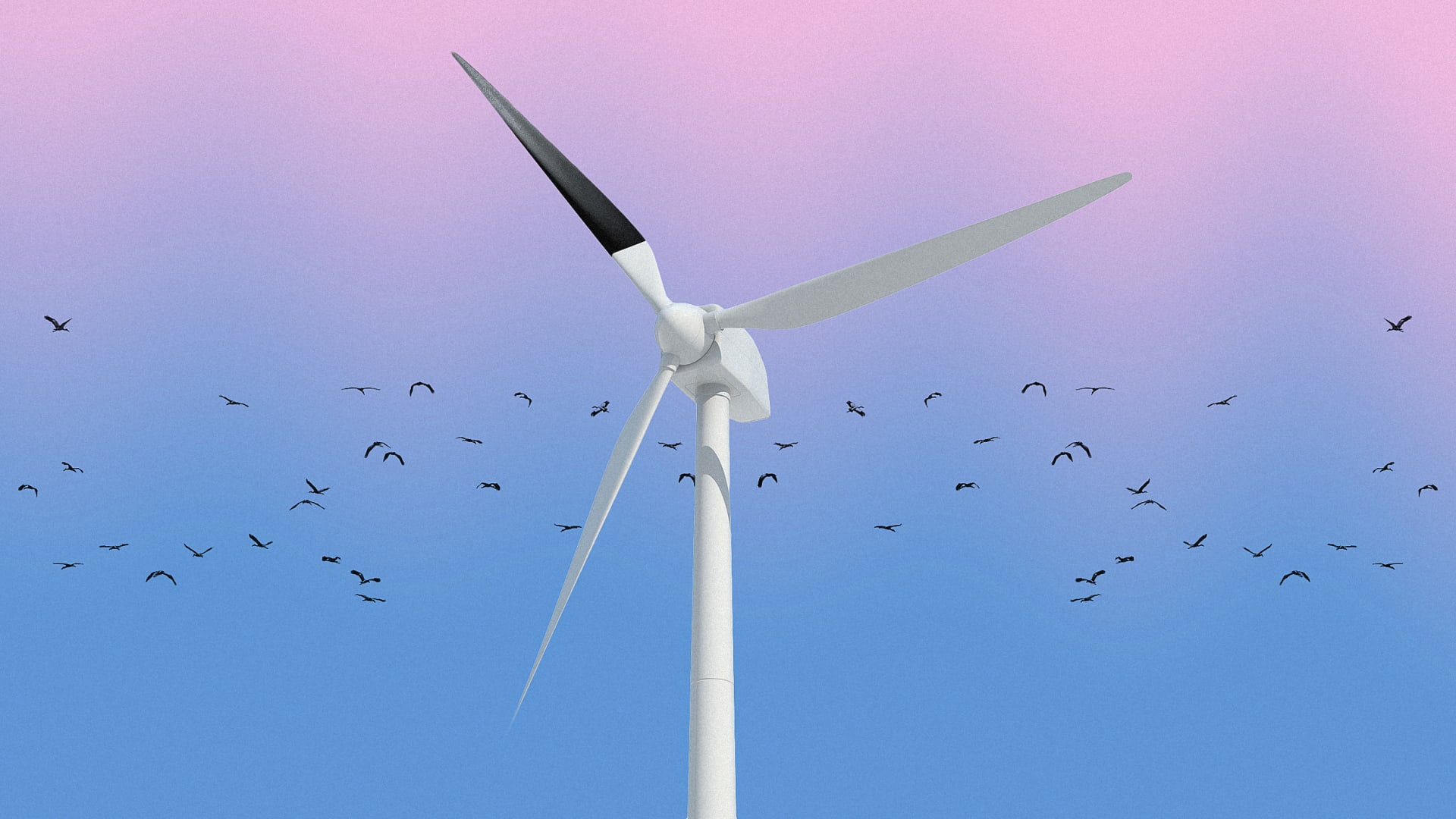 Painting wind turbine blades black can reduce bird deaths 70% - Fast ...
