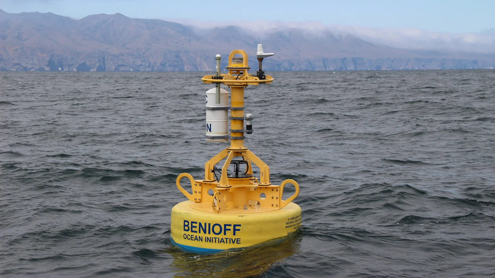 This whale-detection tech helps cargo ships avoid deadly crashes - Fast ...
