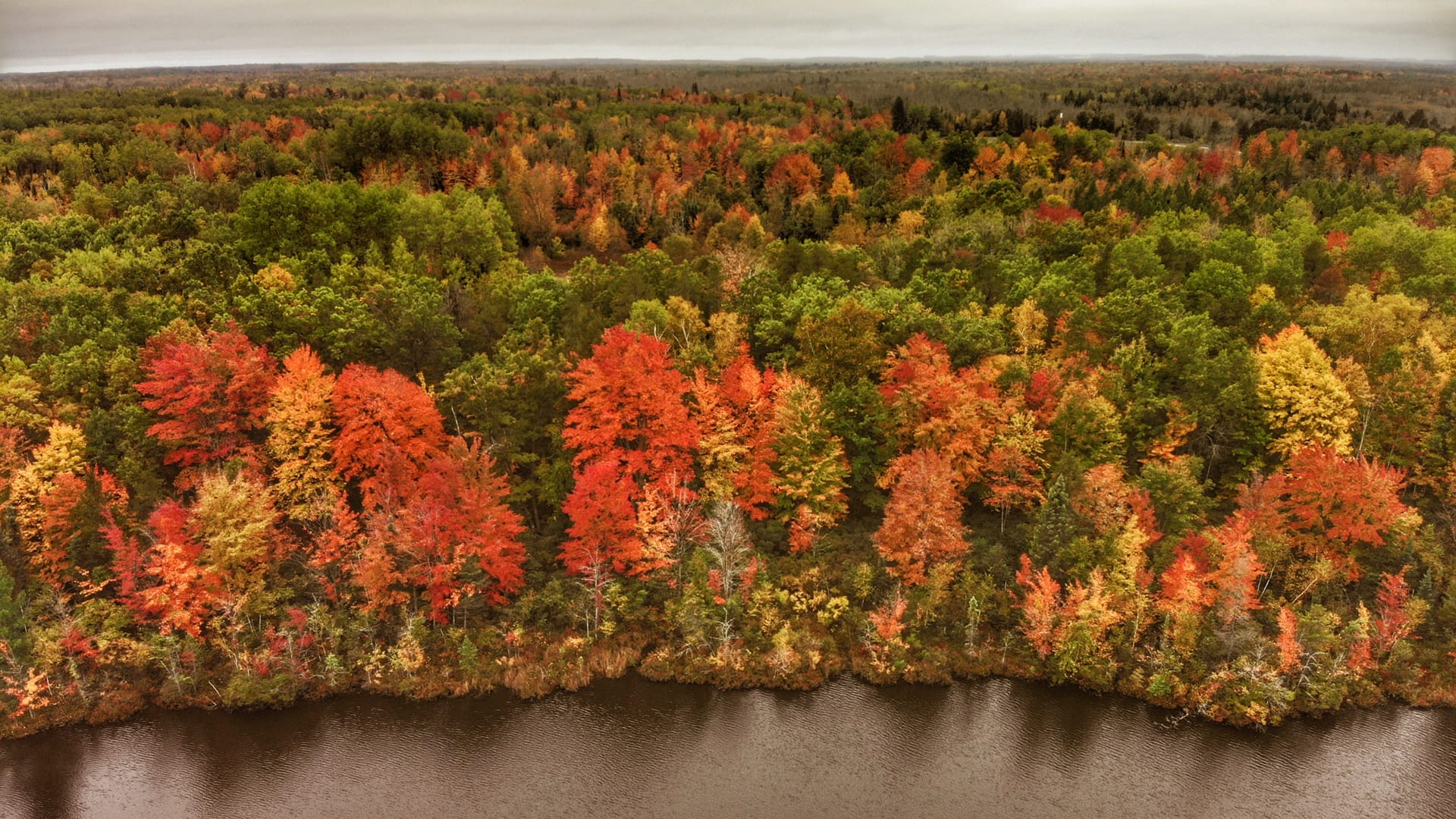 This fall foliage 2020 map shows you when and where all the leaves are ...
