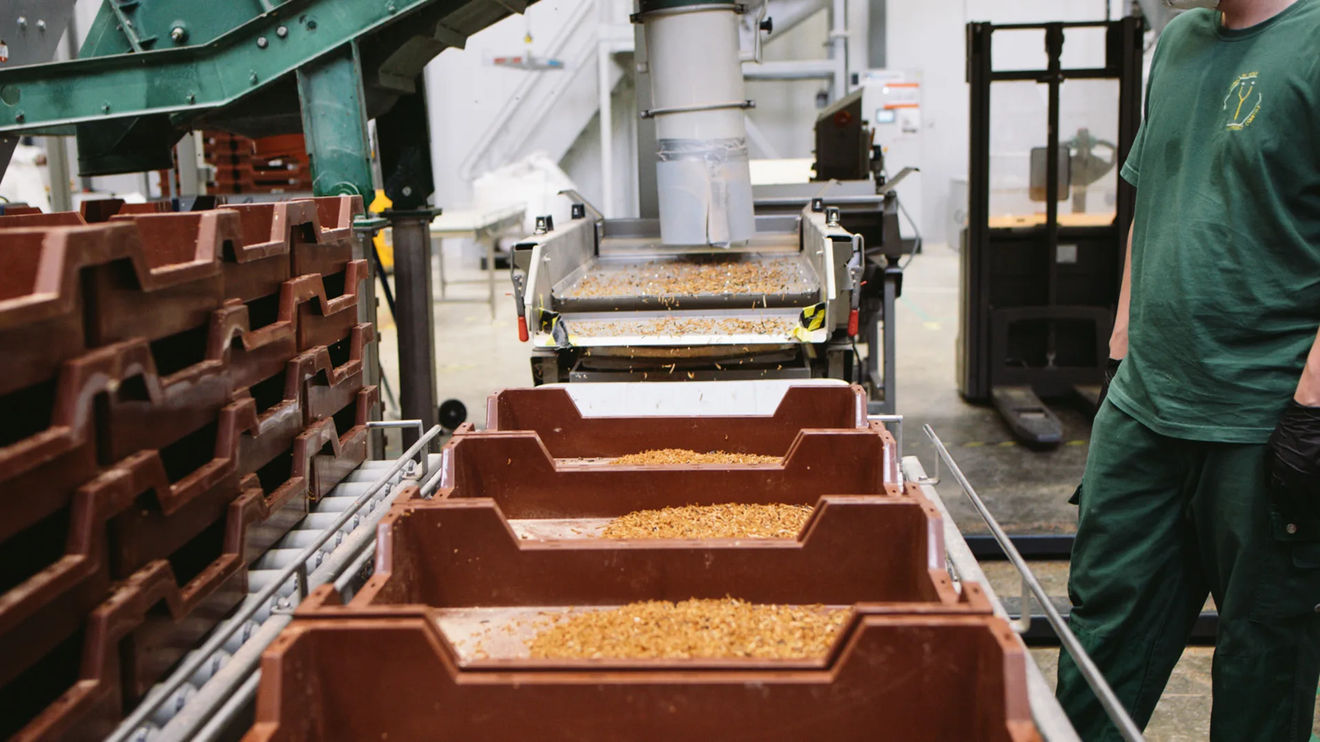 The world's largest insect farm will grow hundreds of millions of ...