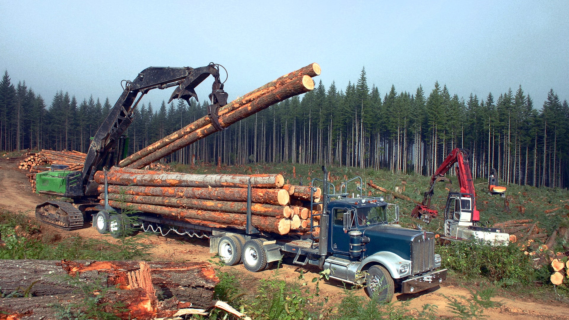 logging industry