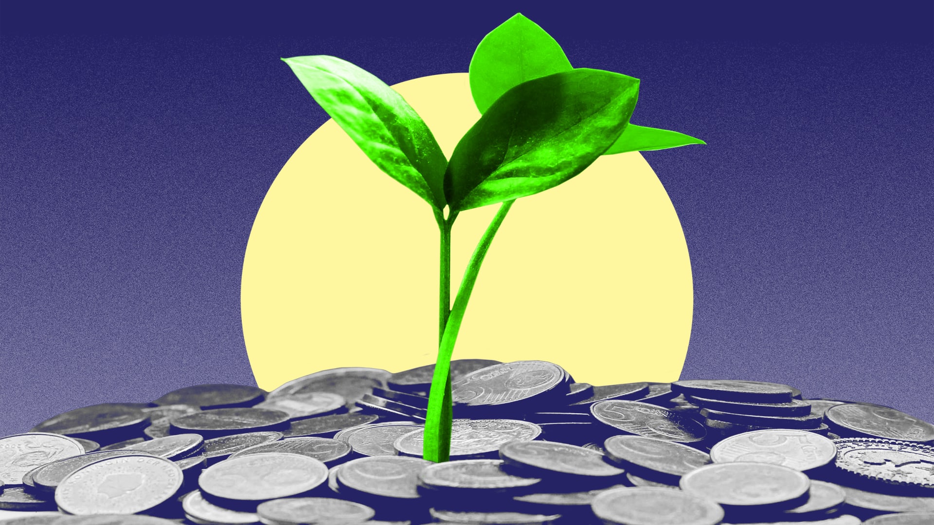 Billionaire Jeff Bezos names 16 grant recipients of the Bezos Earth ...