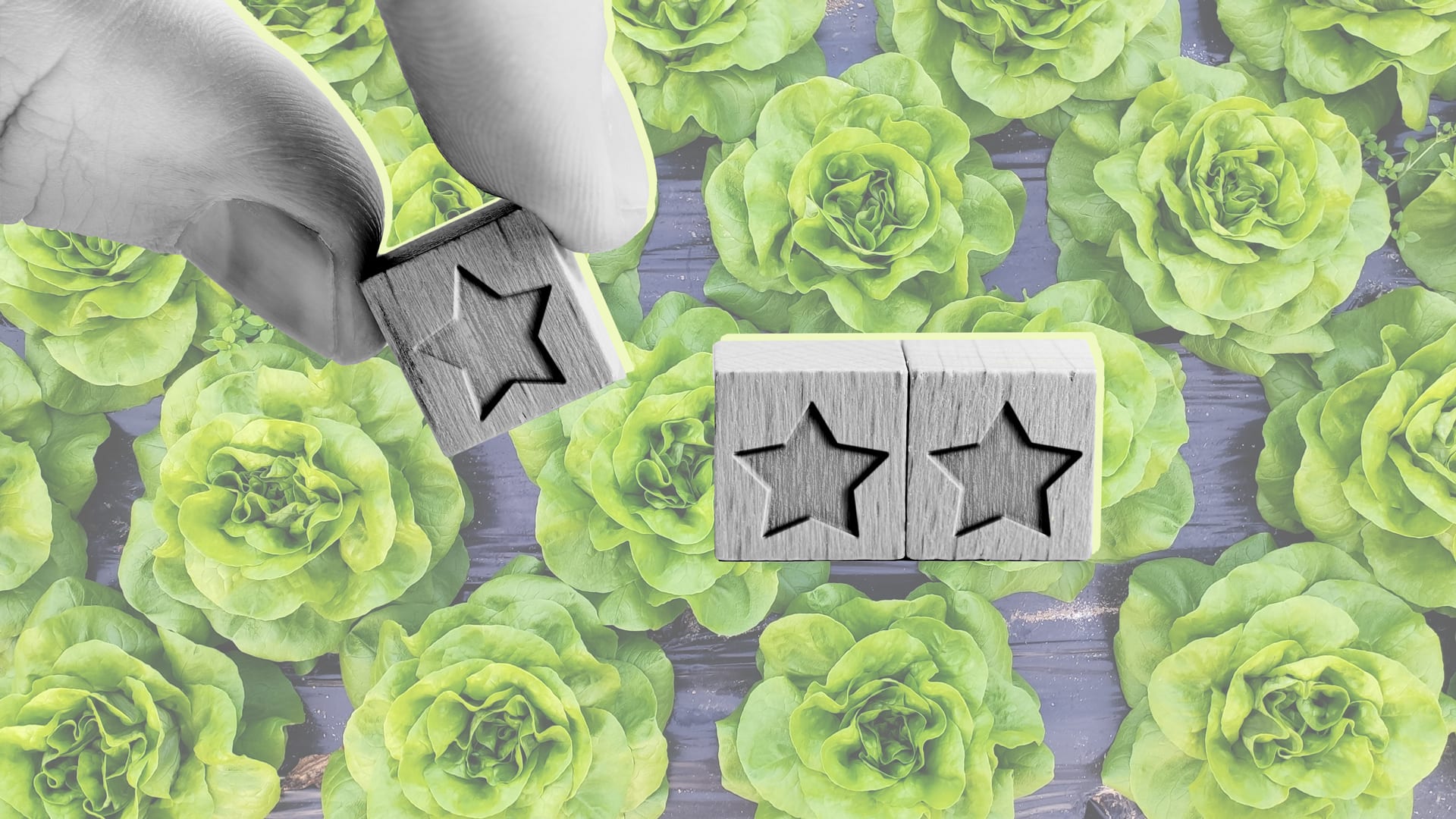 My performance review encouraged me to to be more transparent, so I'm ...