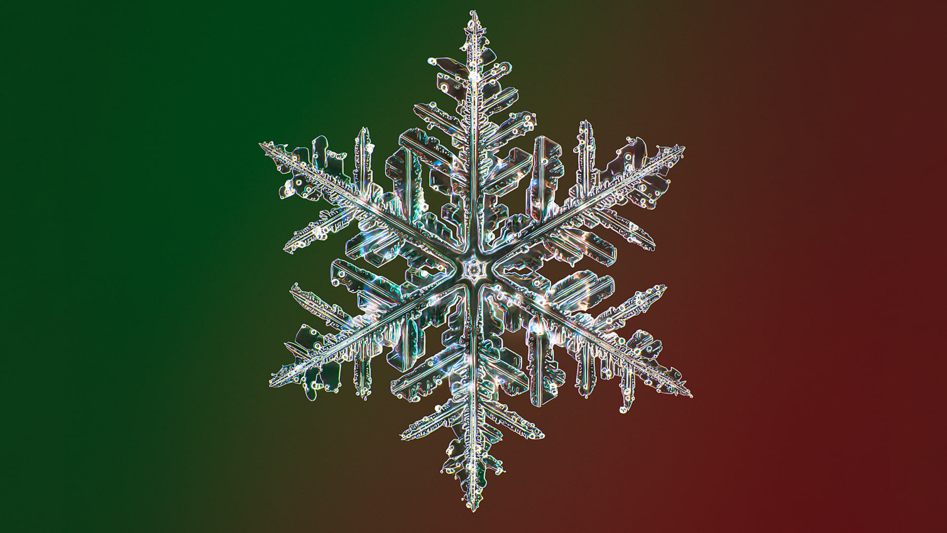 These stunning images of snowflakes will make you see winter in a whole ...