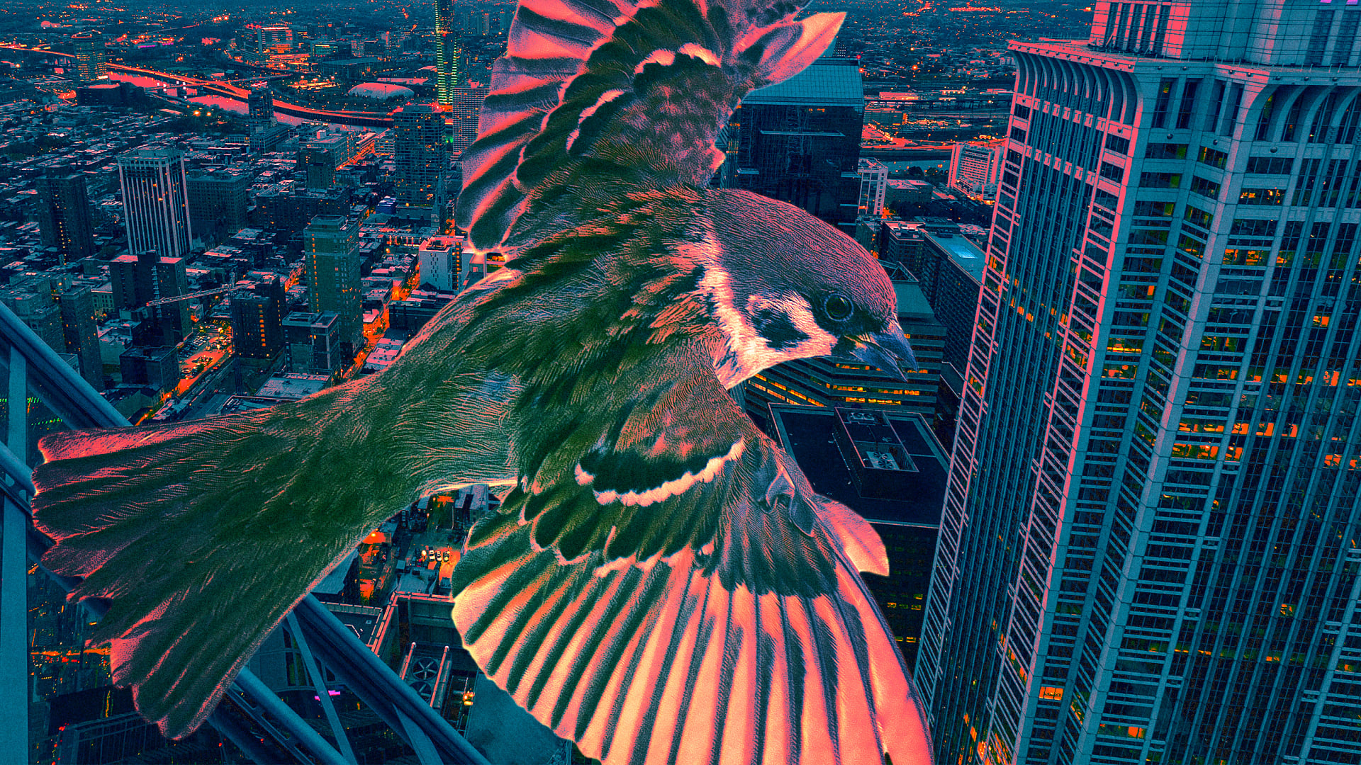 Philadelphia is about to go completely dark at night. Here's why - Fast ...