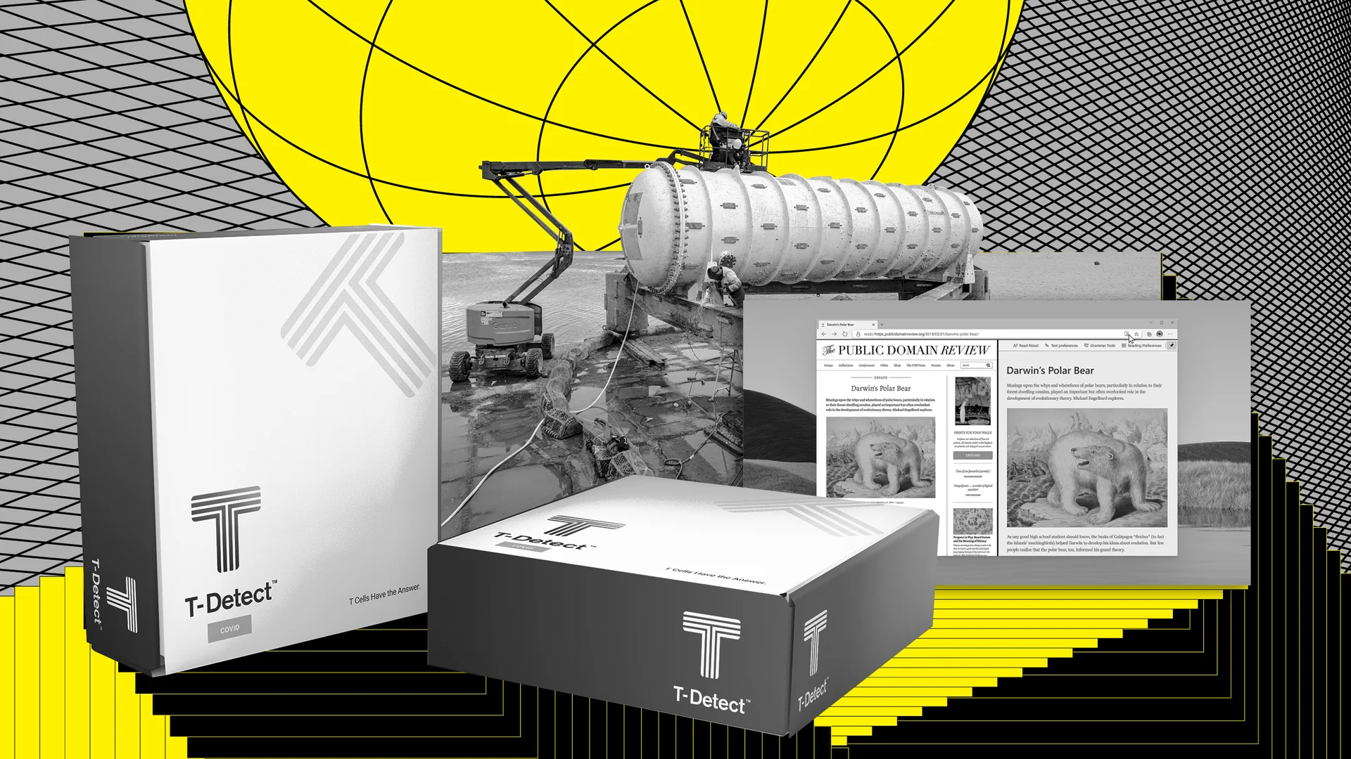 From AI-powered mosquito traps to underwater data centers, how ...