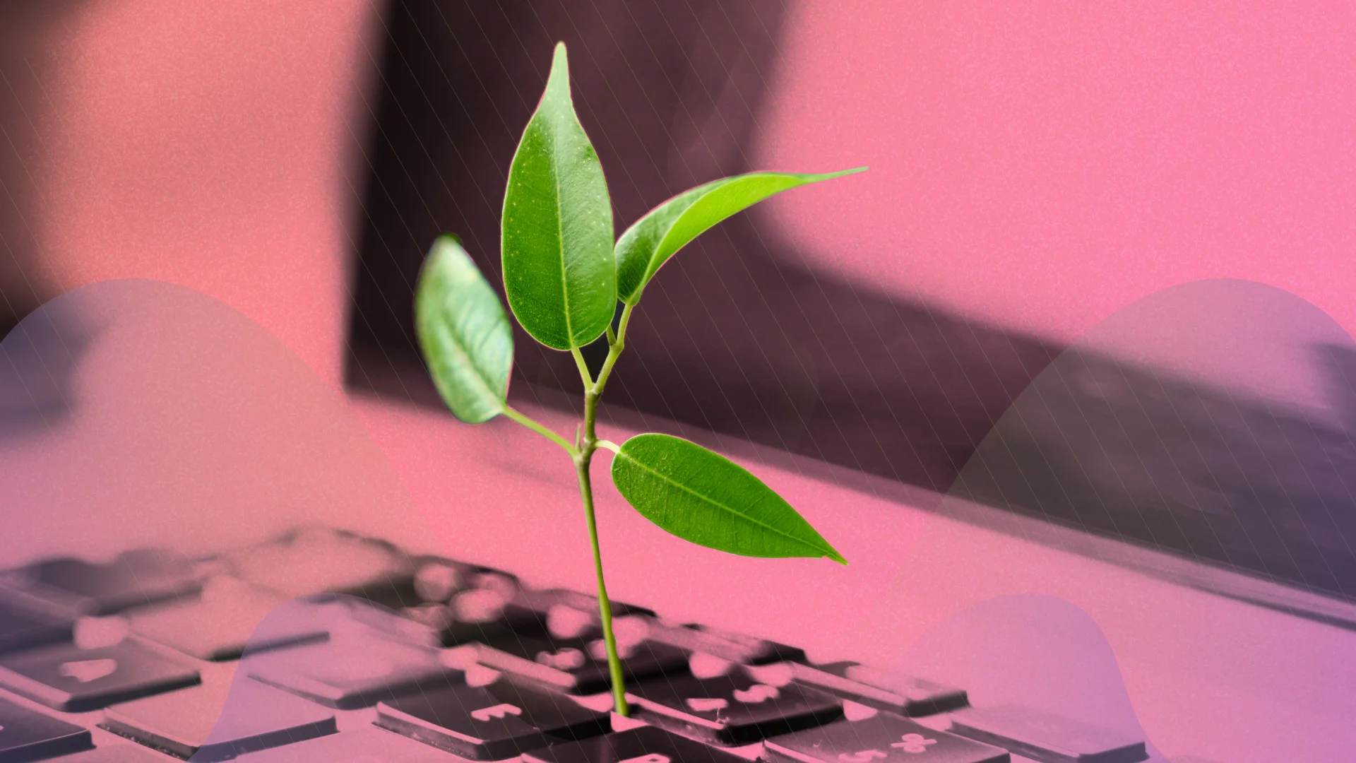 To accelerate net-zero, commit early but decide late - Fast Company
