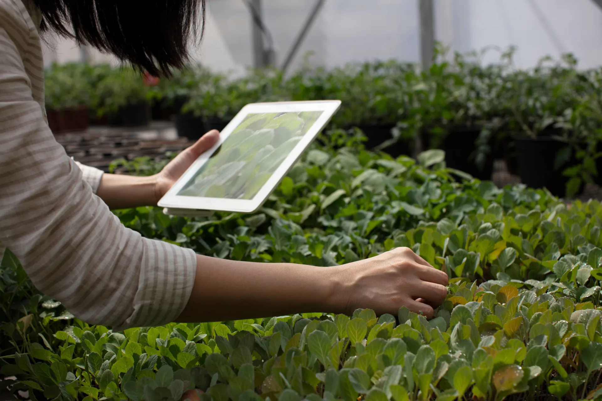How farmers are using data and technology to meet the world's food ...
