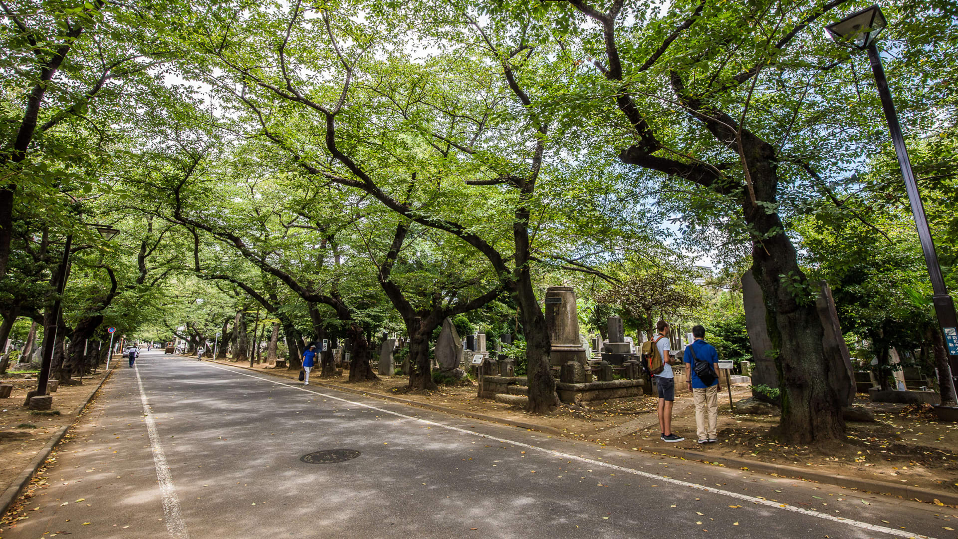 As countries run out of cemeteries, Japan has a thoughtful new way to ...