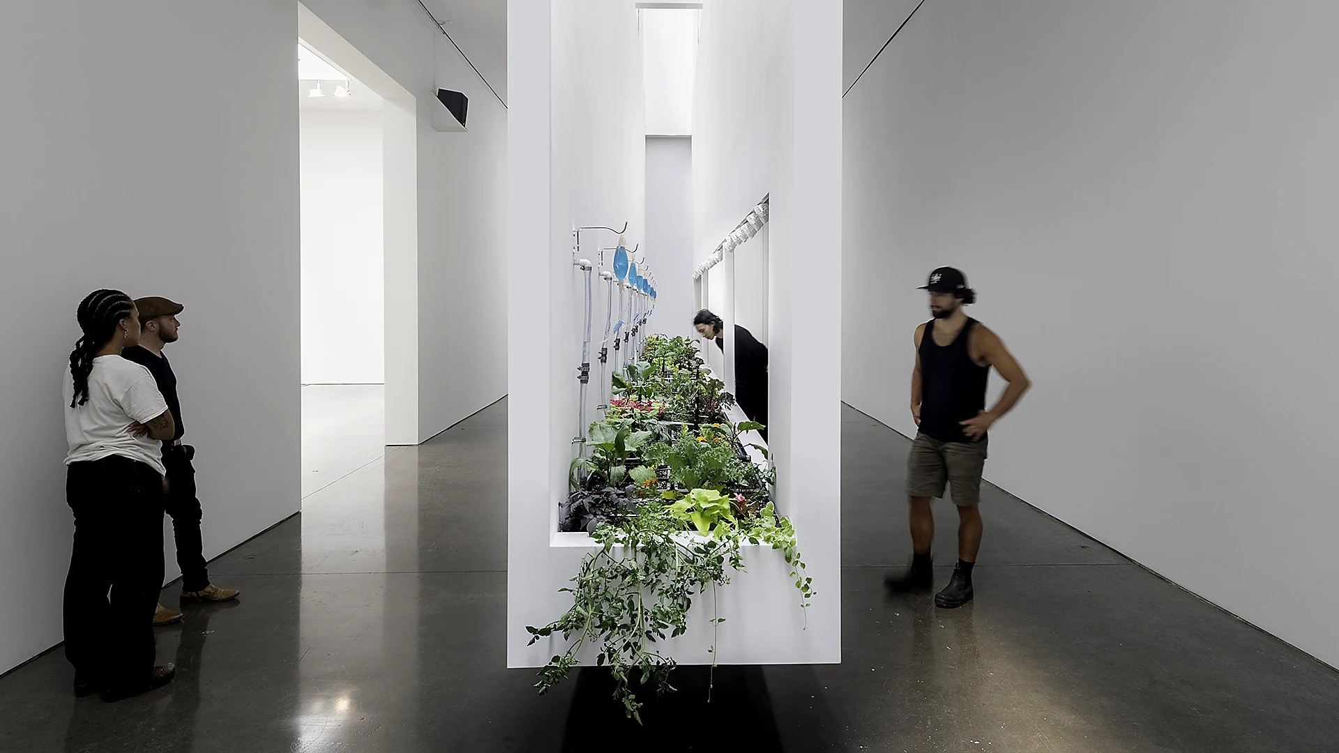 At this NYC gallery, you can eat the artwork - Fast Company