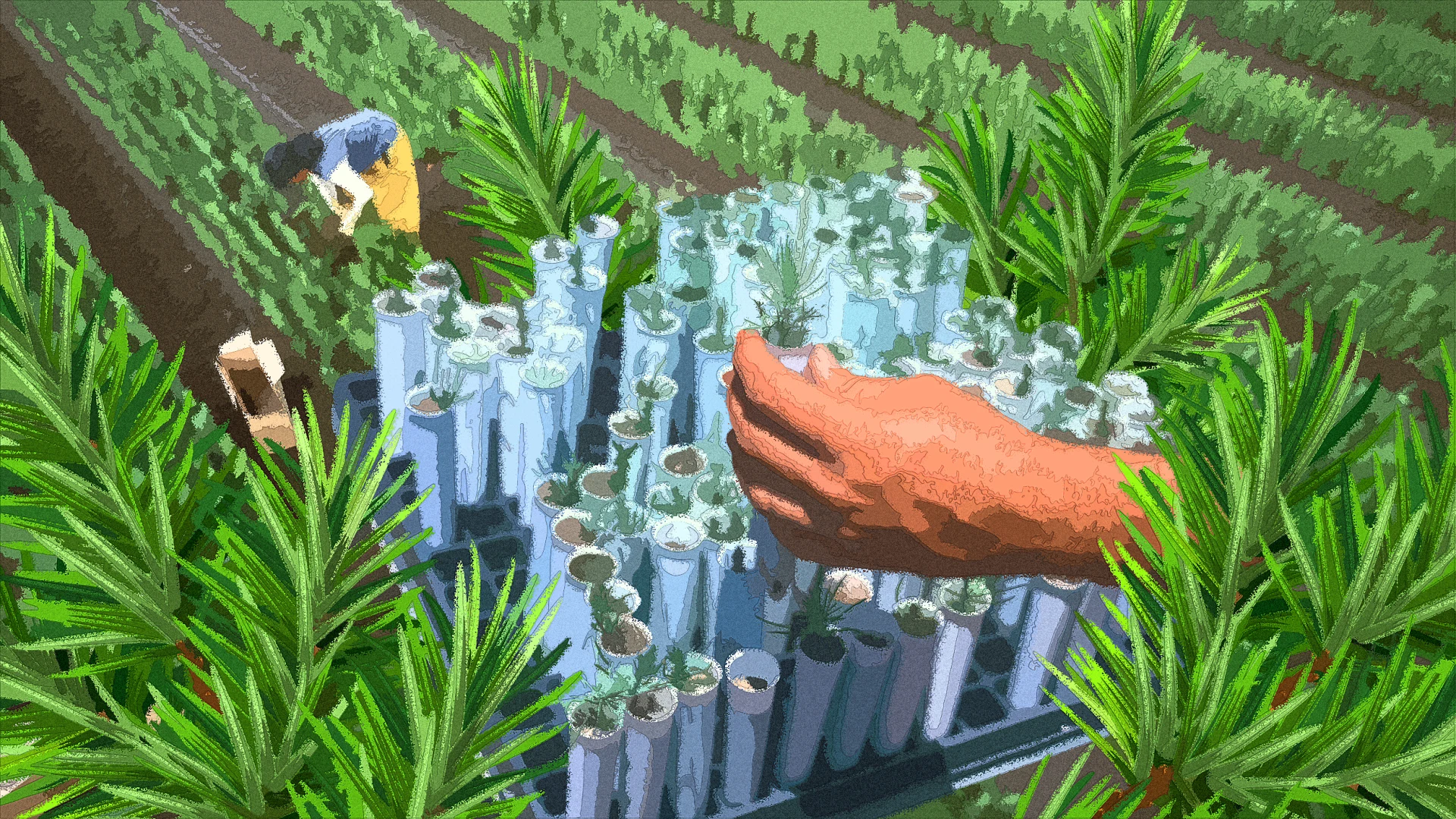 What the former CEO of Reddit learned from Silicon Valley about ...