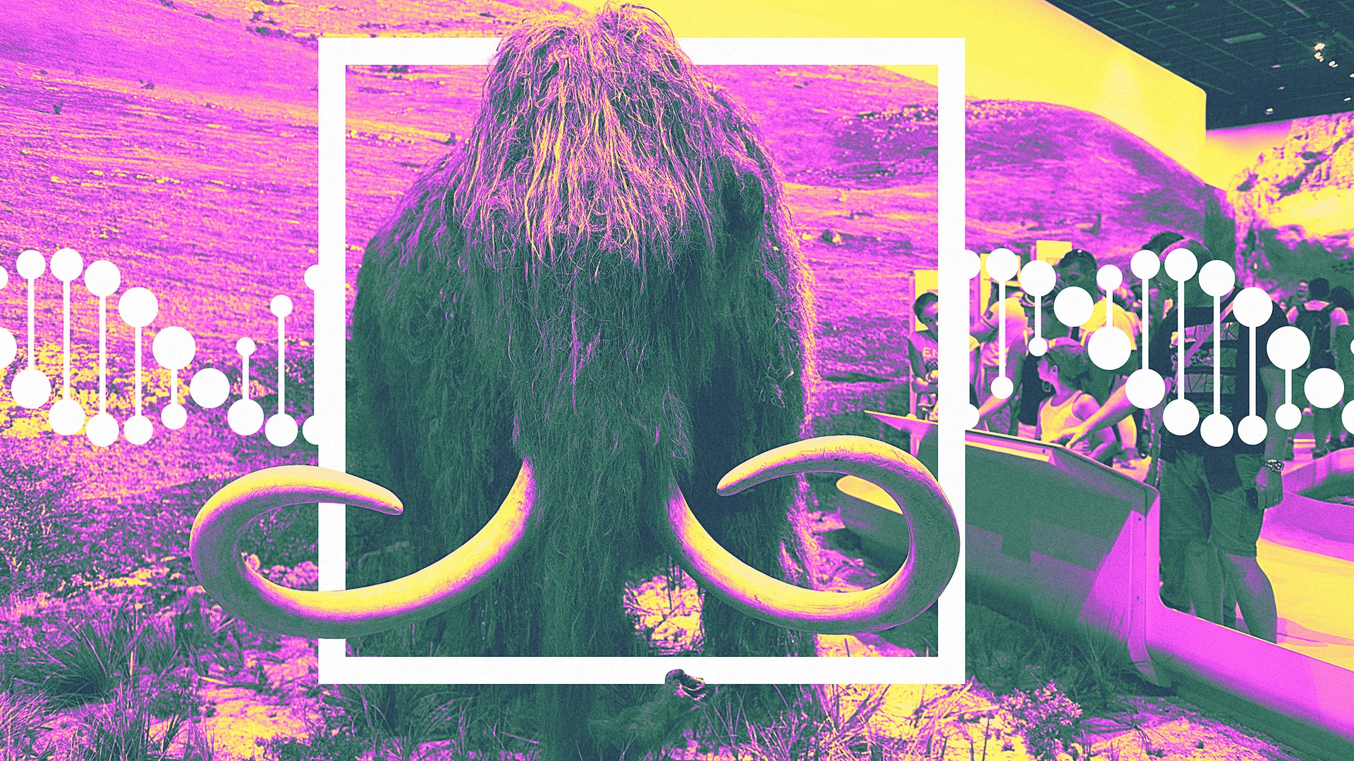 This startup really is trying to create living woolly mammoths from DNA ...
