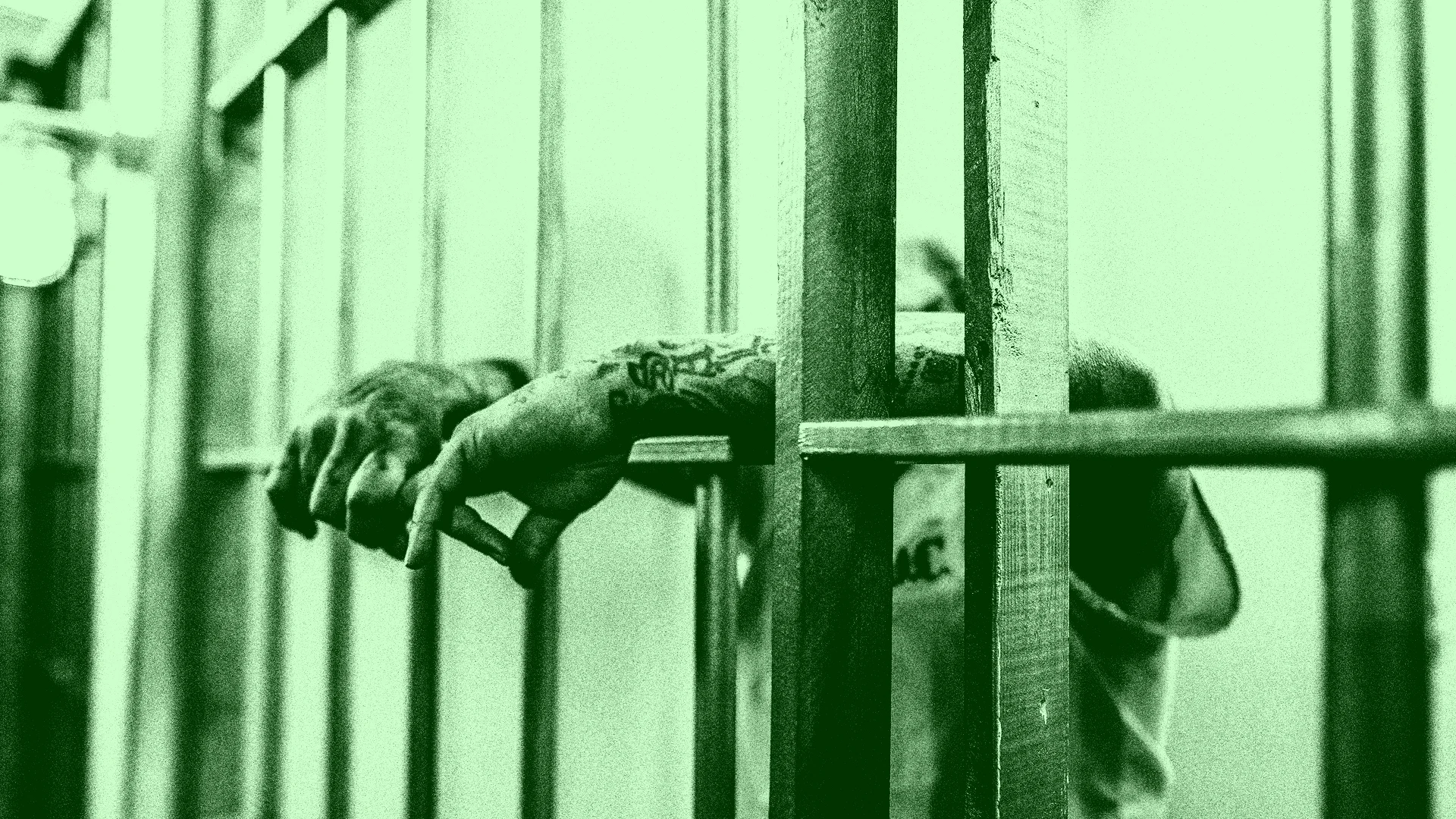 This program is testing what happens when you give cash to people ...