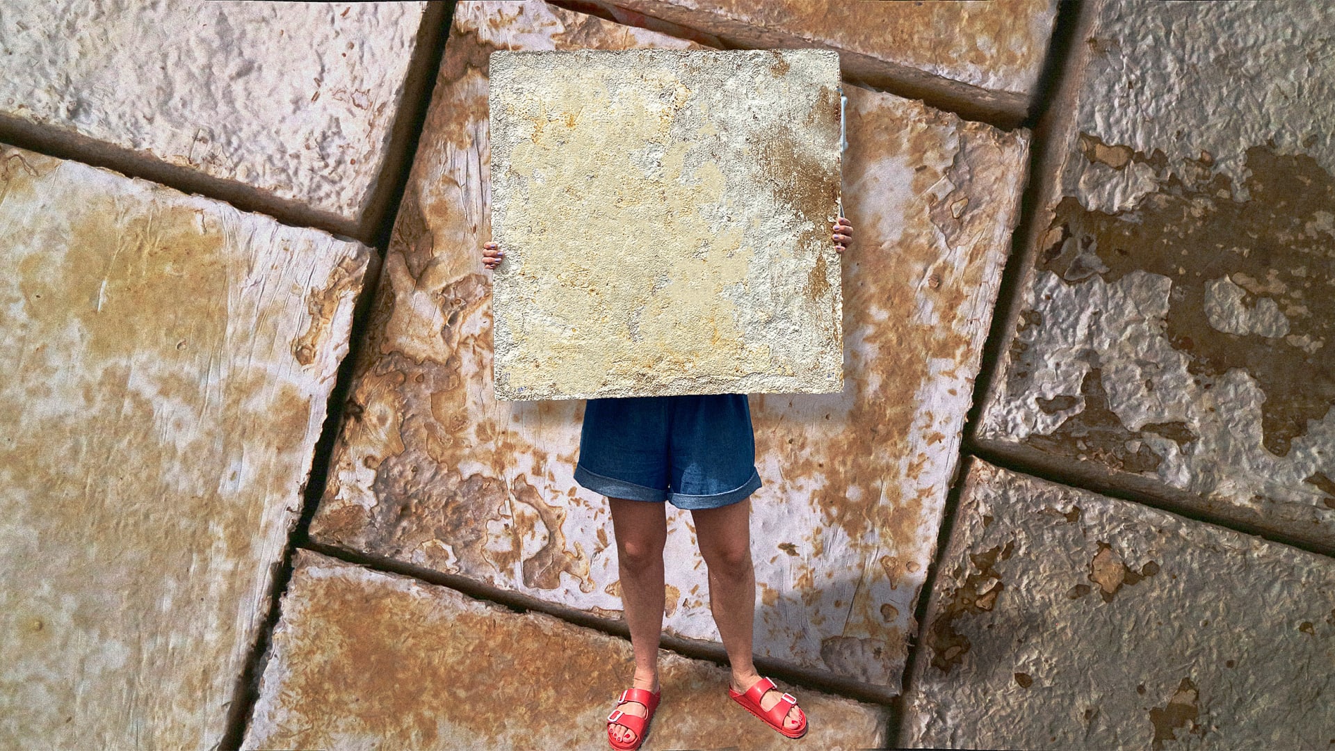 Your next house could be insulated by mushrooms - Fast Company