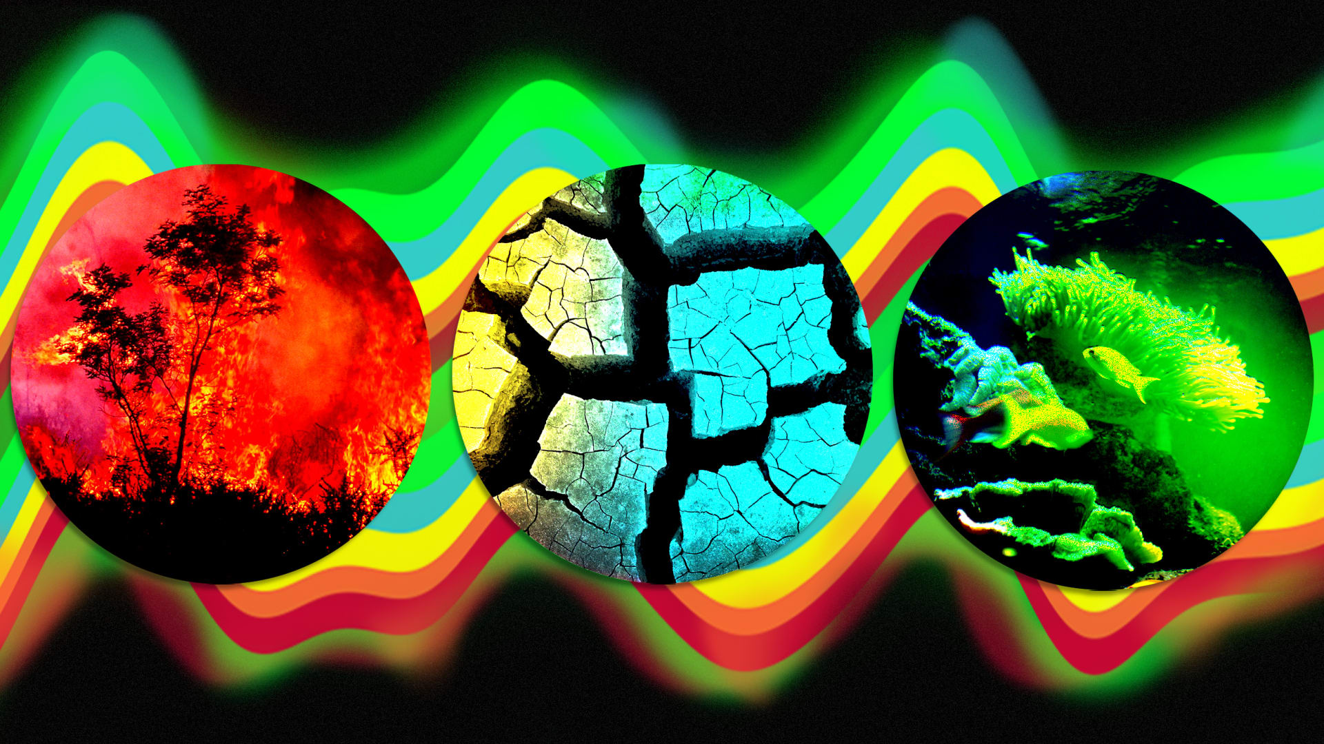 What does our climate-changed future look like? Here are three ...
